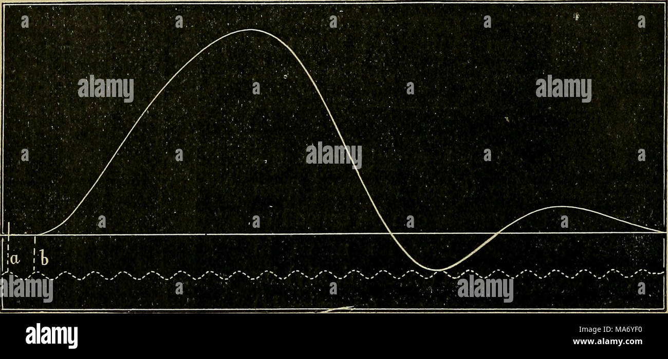 . Physiologie élémentaire . Fig. 49.-muscle simple courbe. Le nerf ...