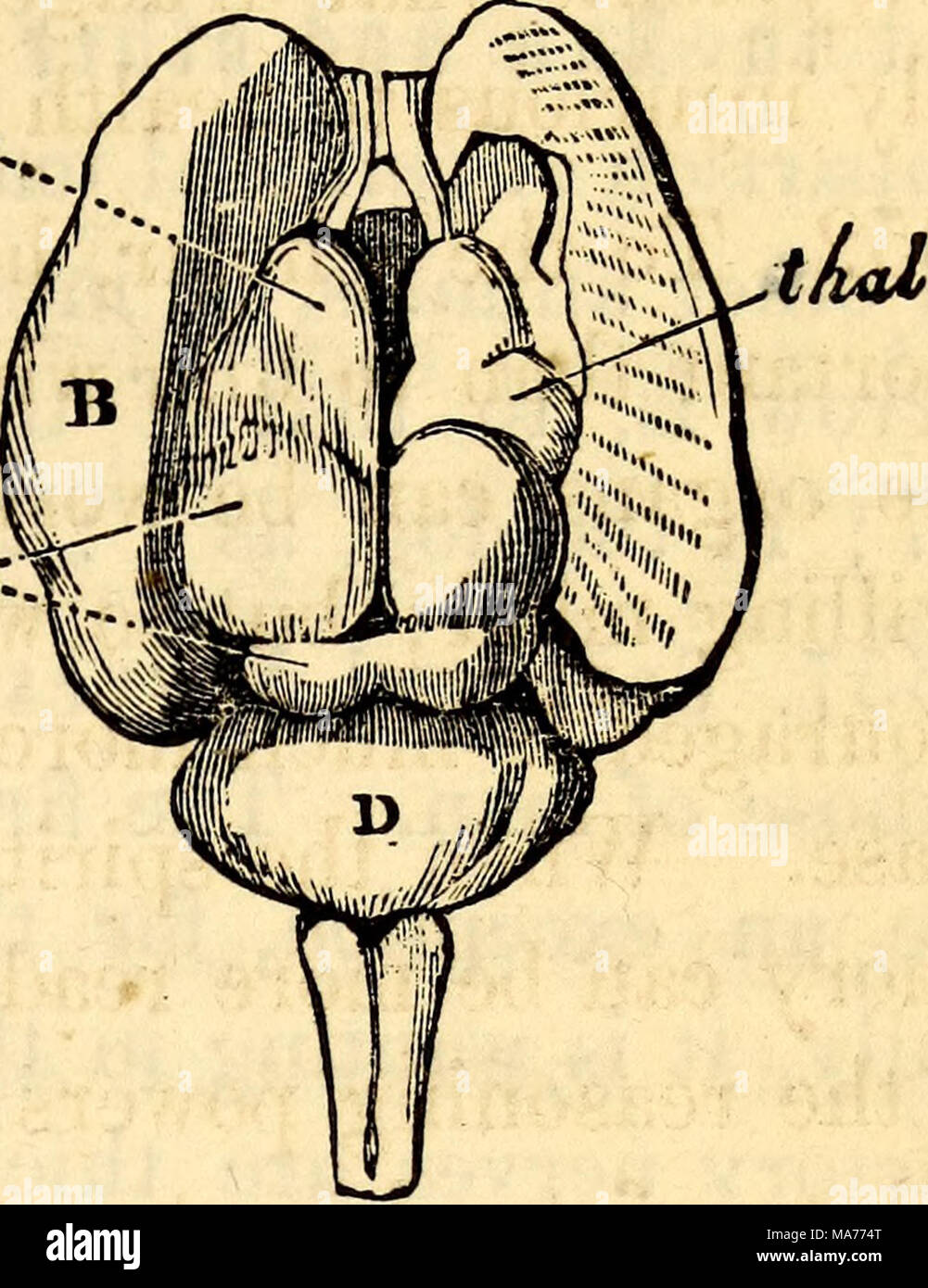 . Anatomie et physiologie élémentaires : pour des collèges, des ...