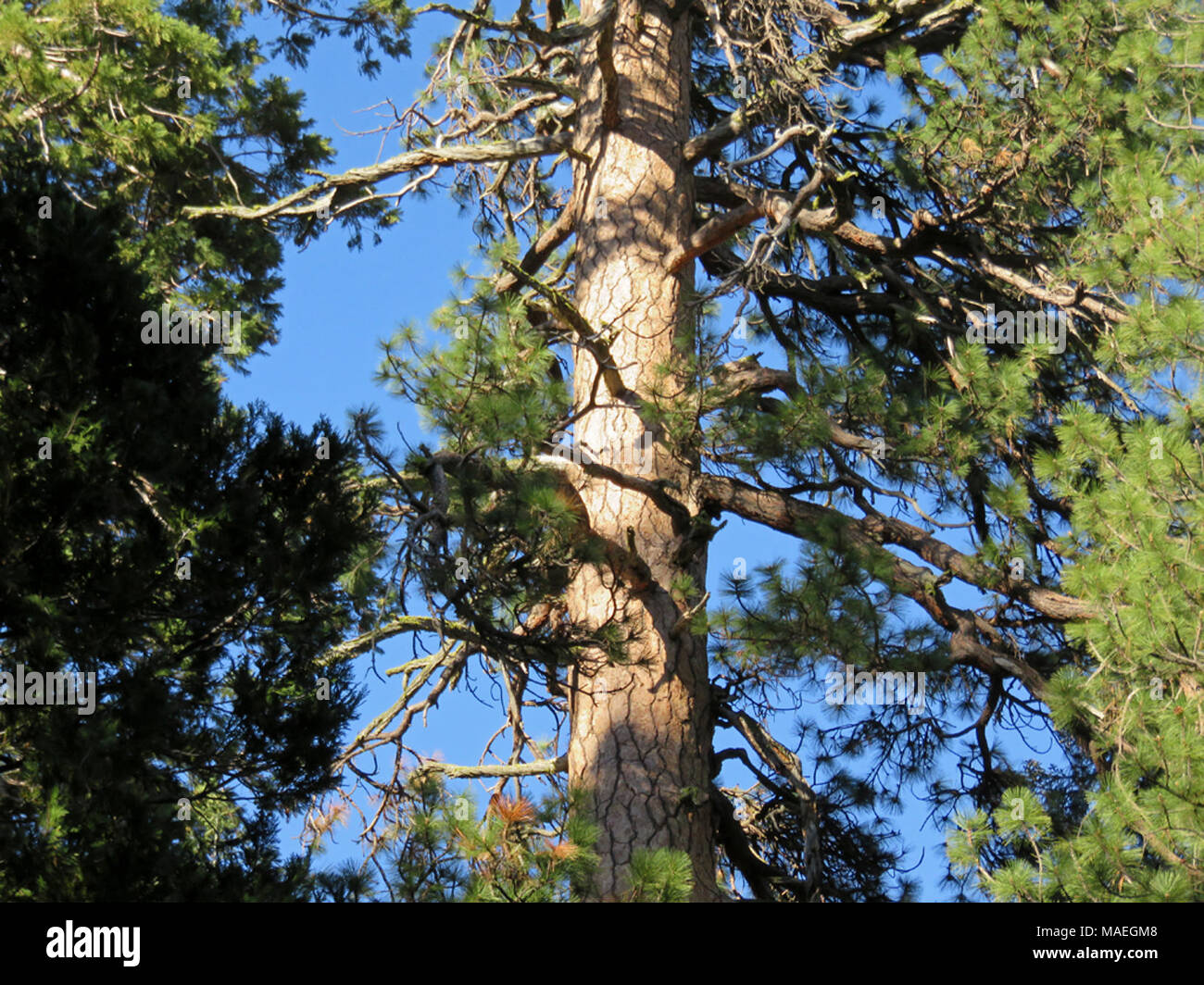 Nf 100 Banque de photographies et d’images à haute résolution - Alamy