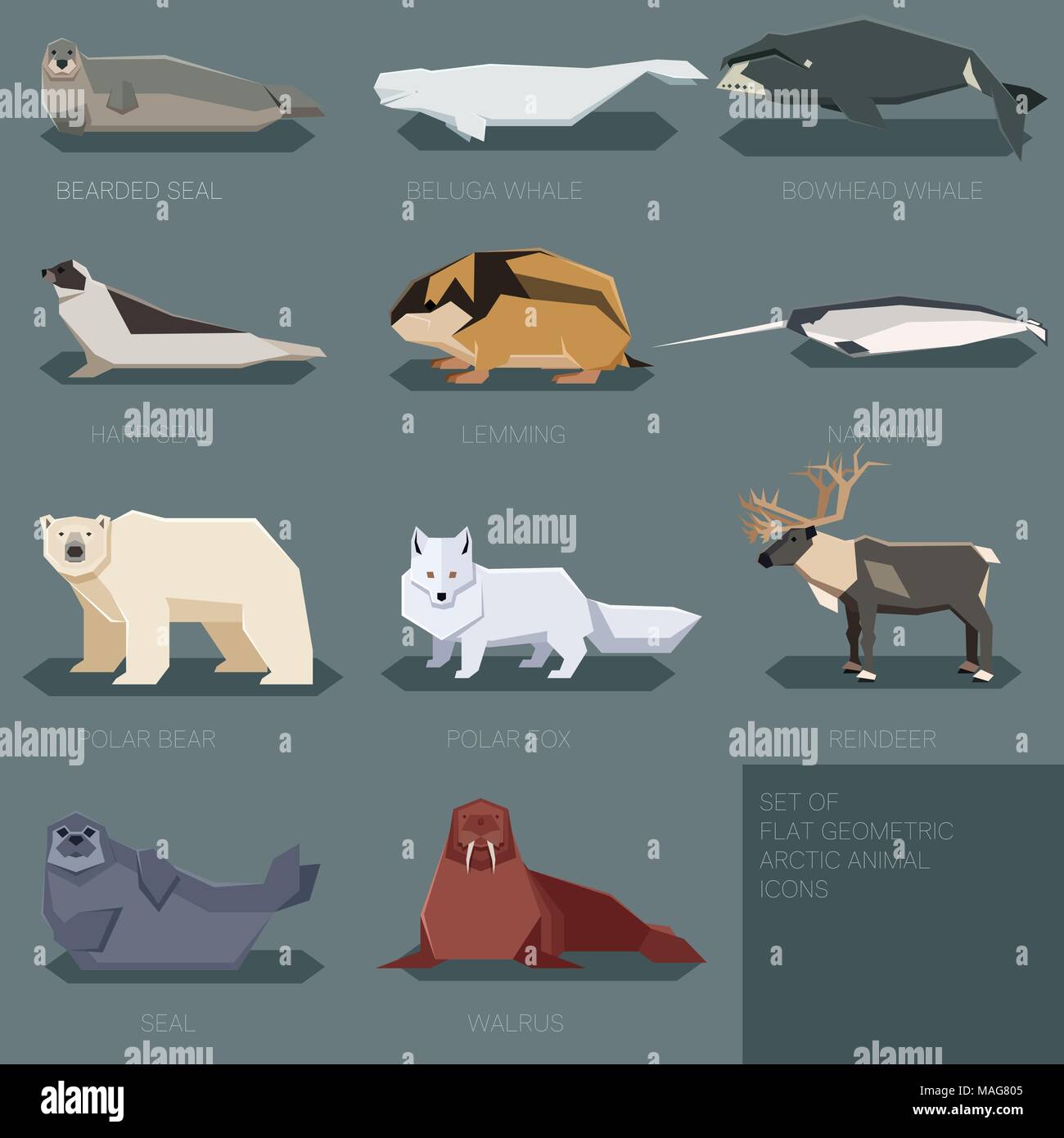 Arctique polaire Banque d'images vectorielles - Alamy