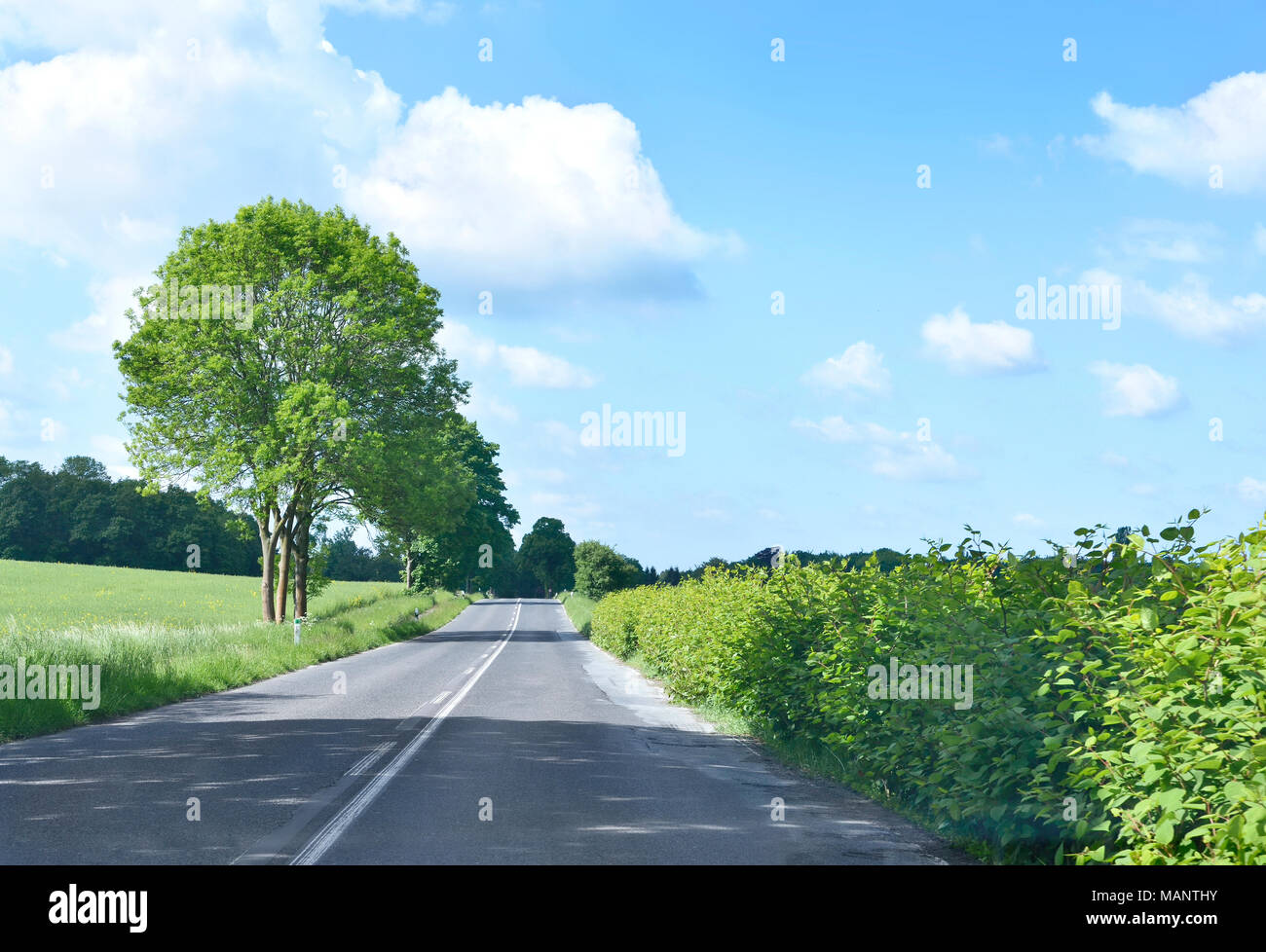 Route et rue paysage paysage arbres Banque de photographies et d’images ...