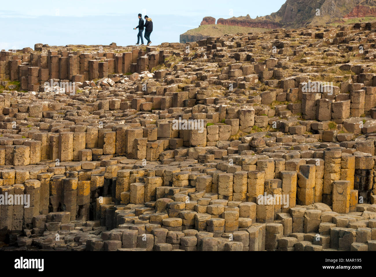 La lave des orgues basaltiques à Giant's Causeway, UNESCO World ...