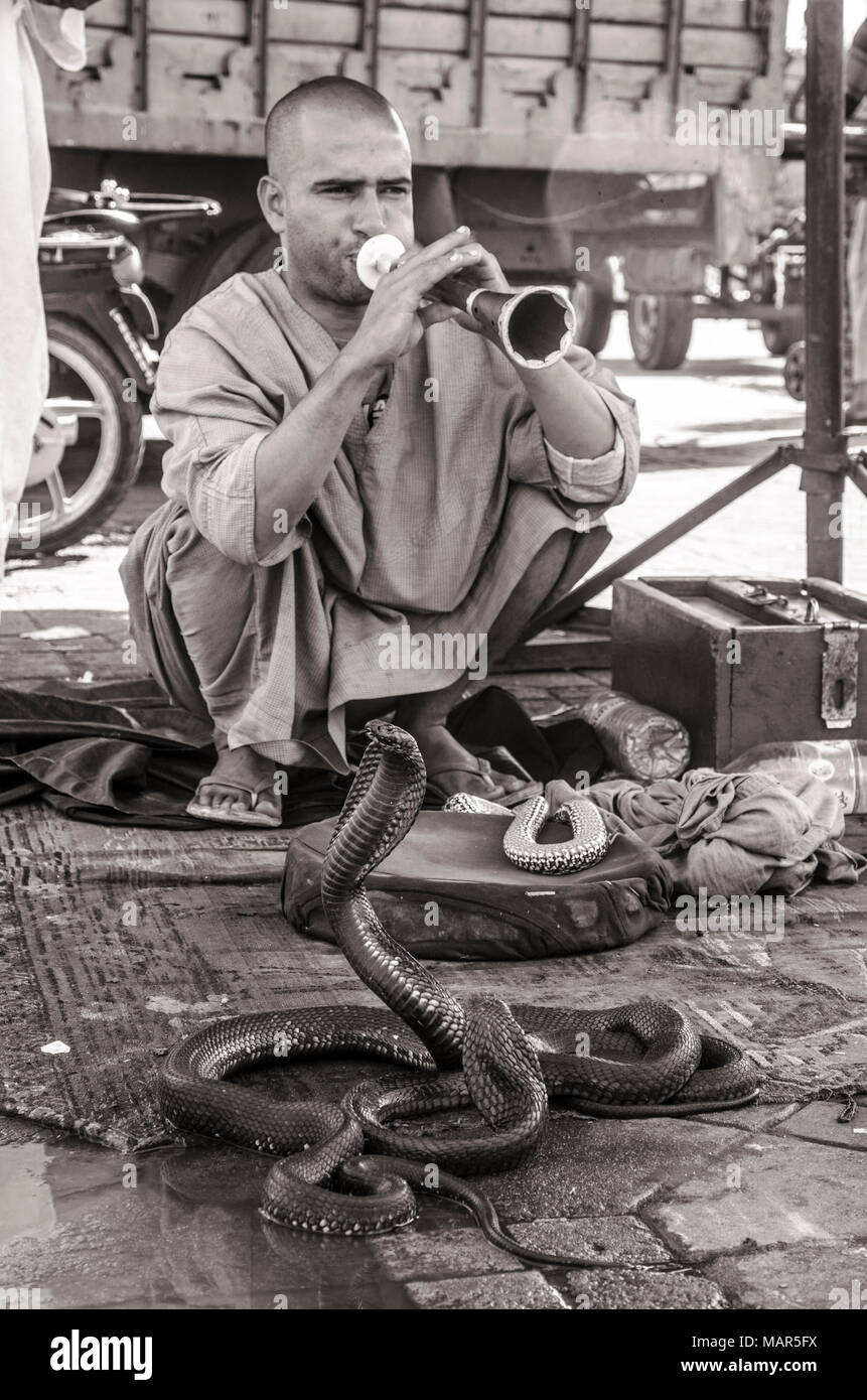 Snake charmer cobra marrakech morocco Banque de photographies et d ...