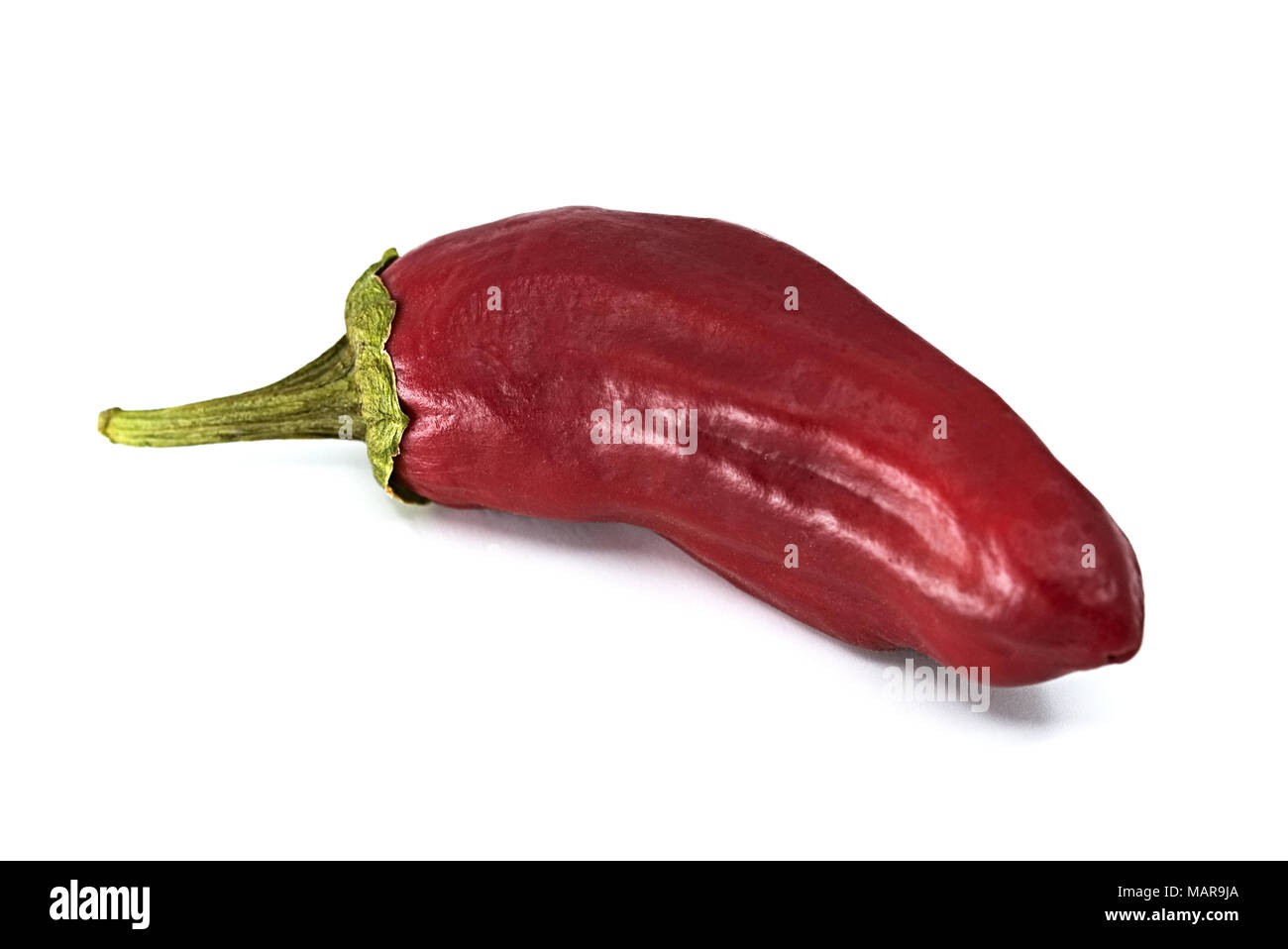 Plante de piment jalapeno rouge Banque de photographies et d’images à ...