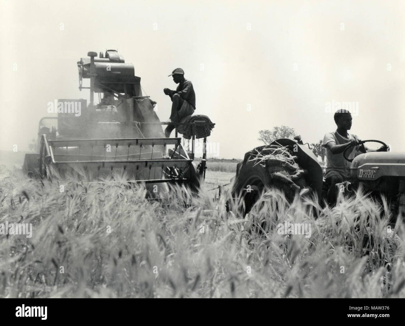 Rhodesian selection trust Banque de photographies et d’images à haute ...