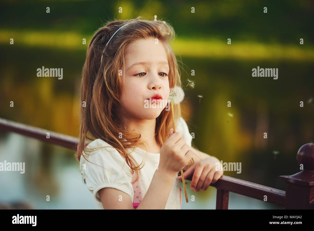 Petite fille soufflant pissenlit Banque de photographies et d’images à ...