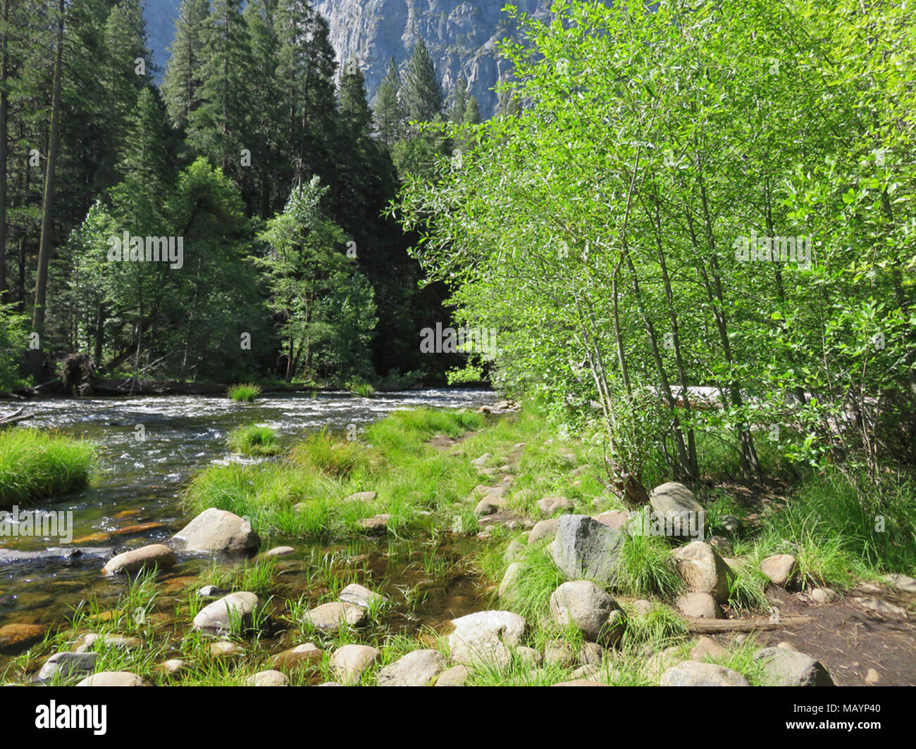 Merced national wildlife refuge Banque de photographies et d’images à ...