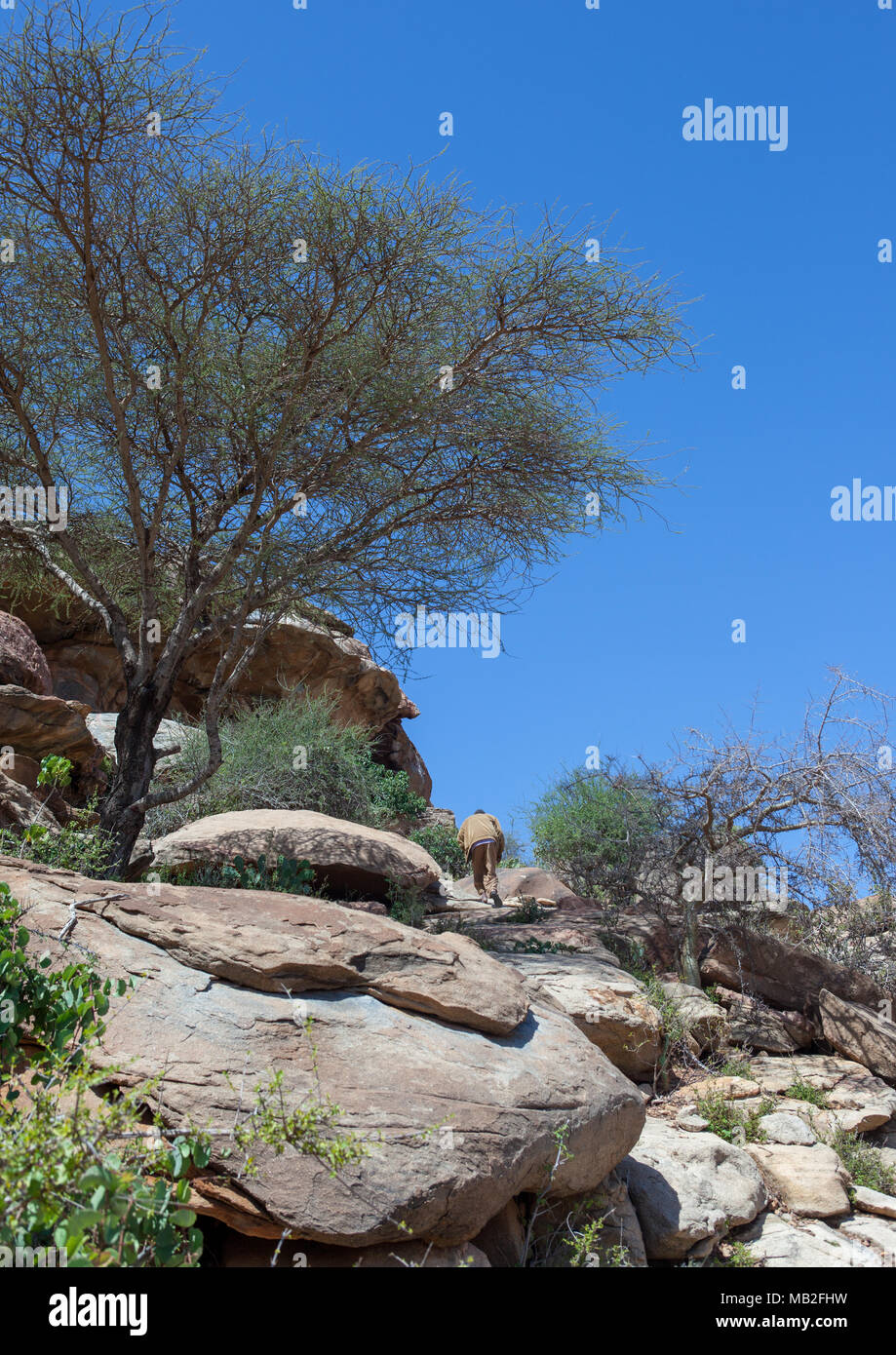 Somaliland somalia africa horn of africa vertical hargeisa Banque de ...