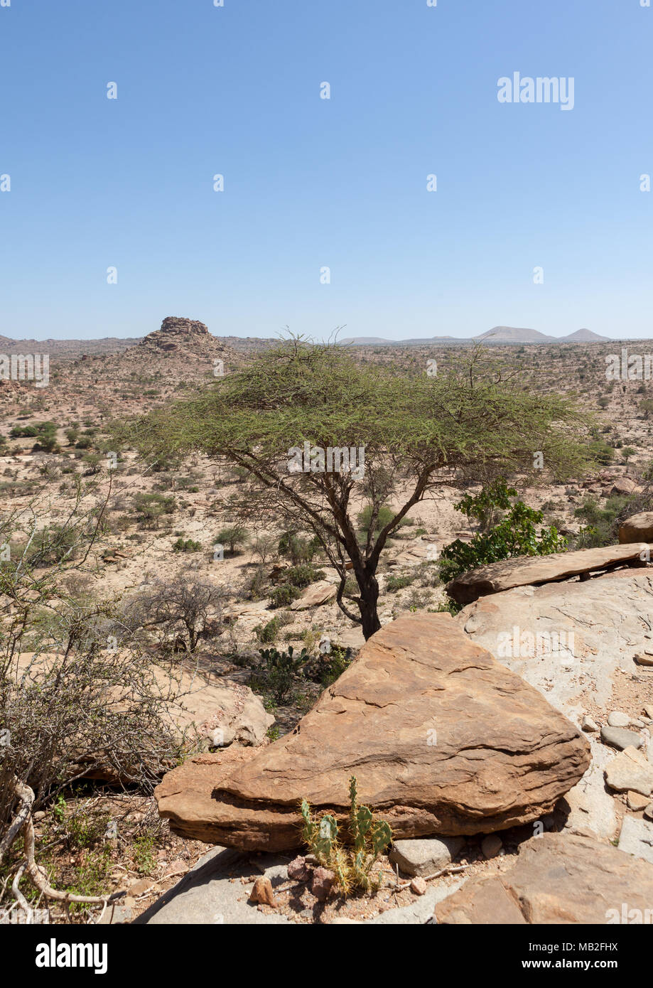 Somaliland somalia africa horn of africa vertical hargeisa Banque de photographies et d’images à ...