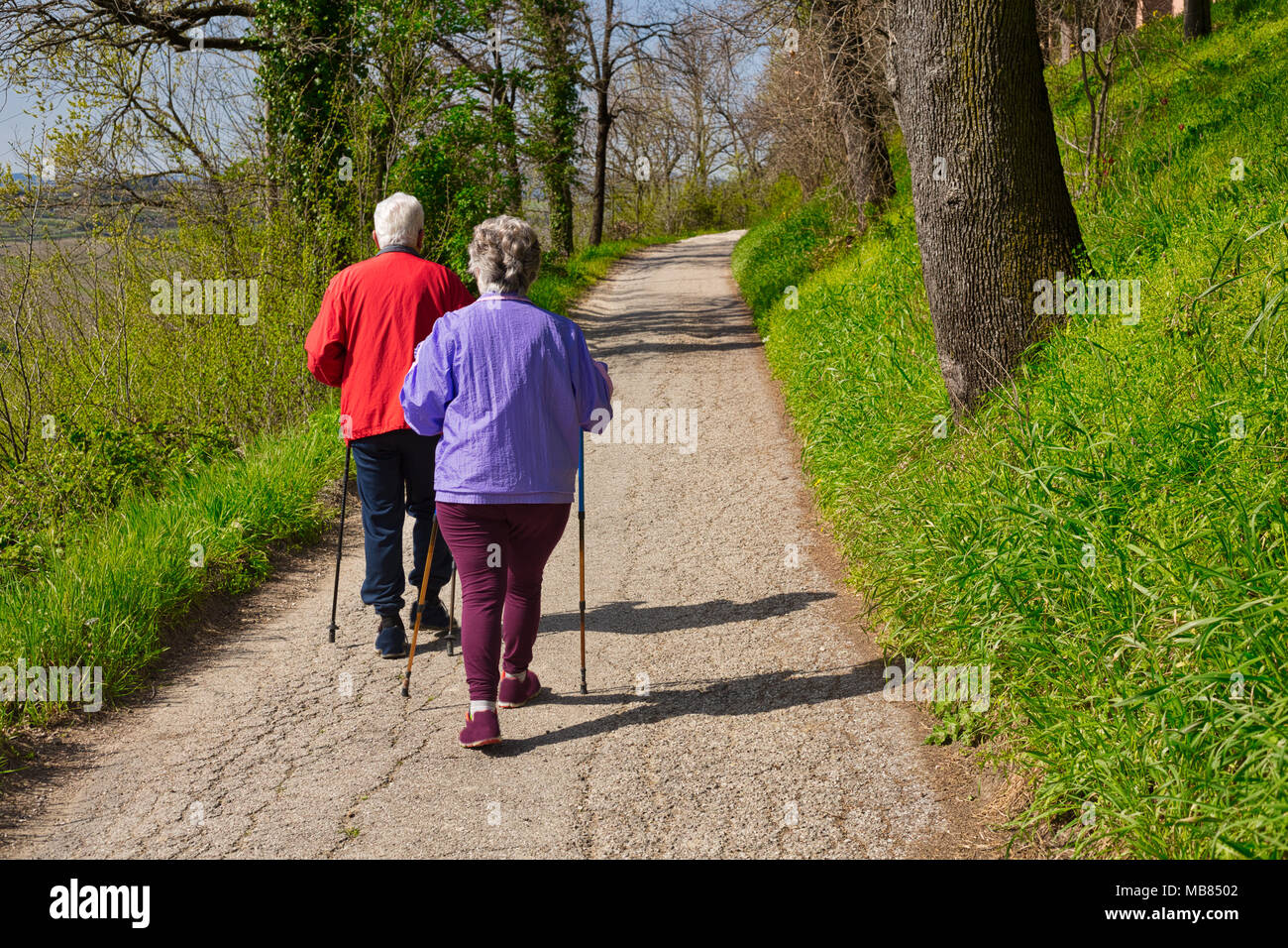 Couple senior marche nordique Banque de photographies et d’images à ...