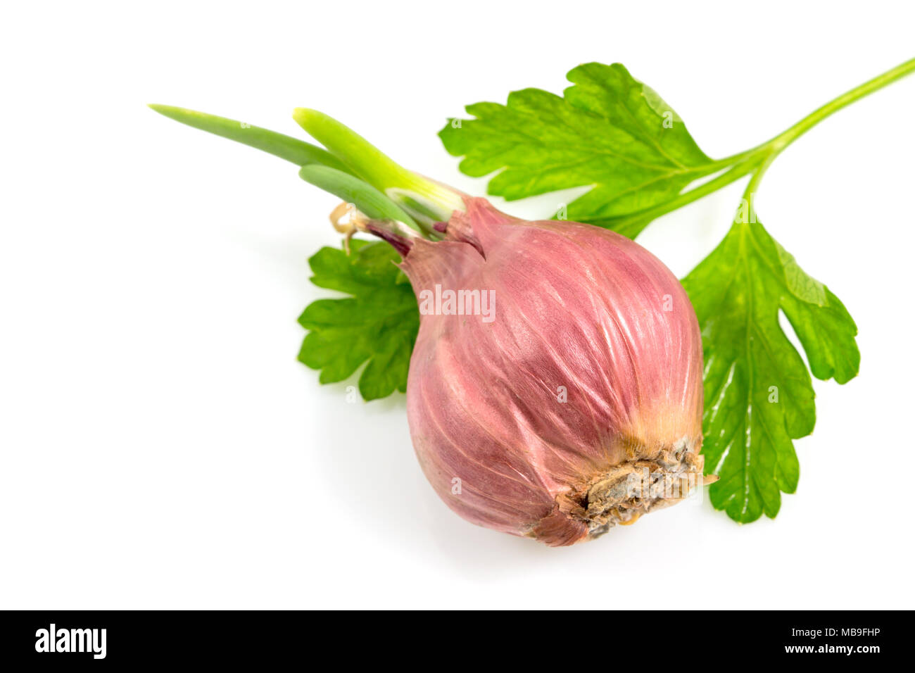 Oignons rouges avec les feuilles de persil isolé sur fond blanc, top ...