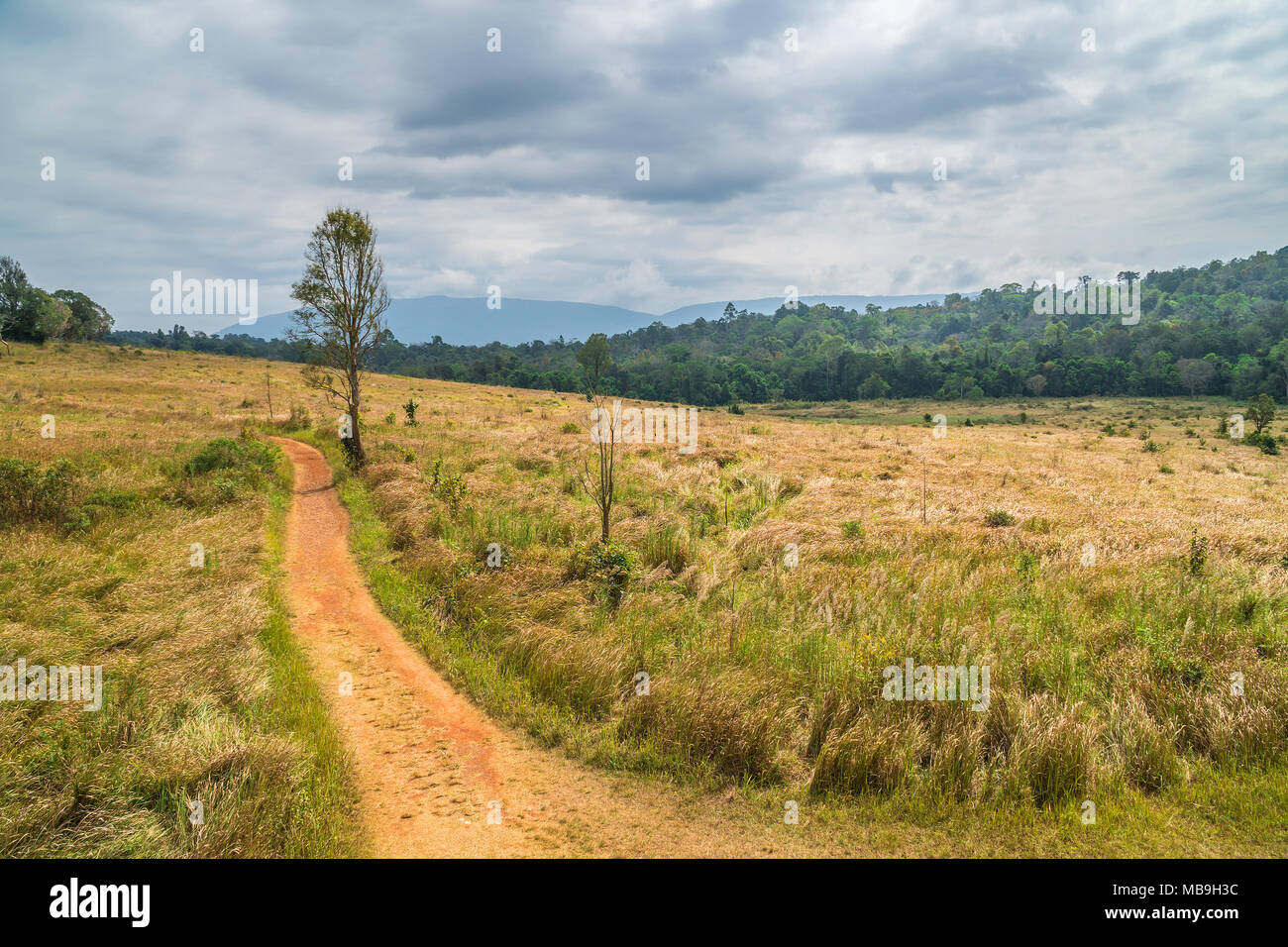 Khao yai Banque de photographies et d’images à haute résolution - Alamy