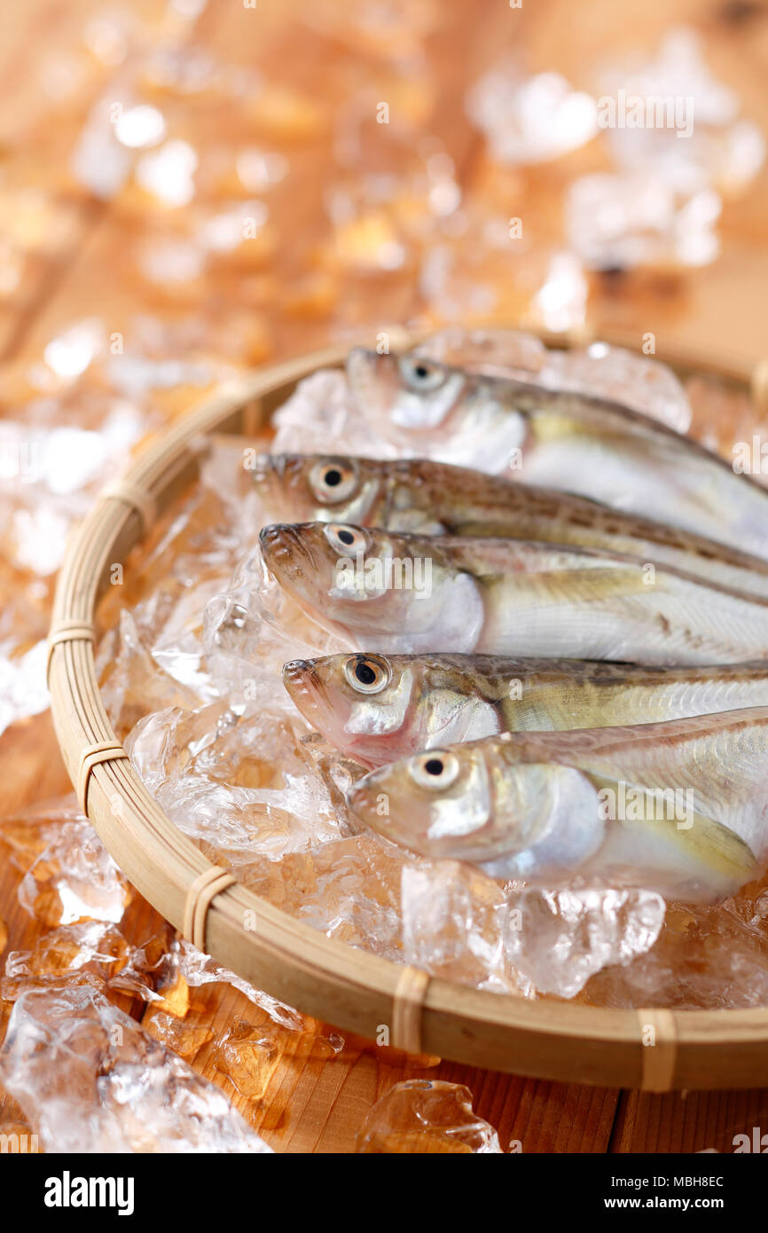 Passoire prime Banque de photographies et d’images à haute résolution ...