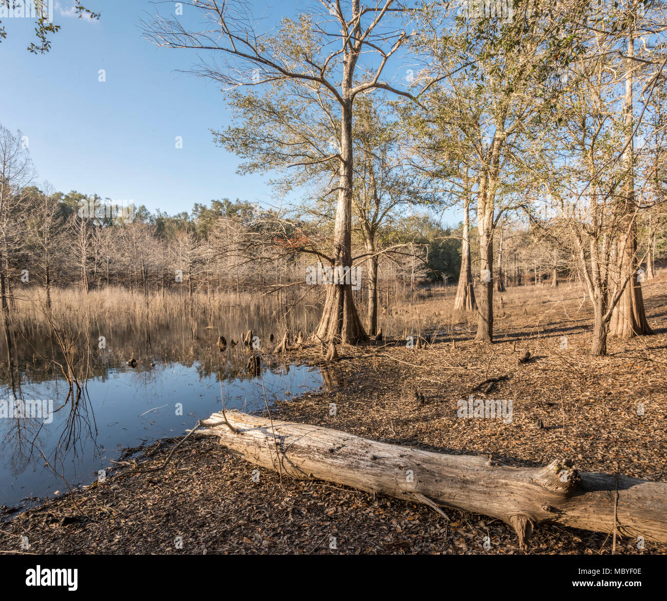 Indian lake Banque de photographies et d’images à haute résolution - Alamy