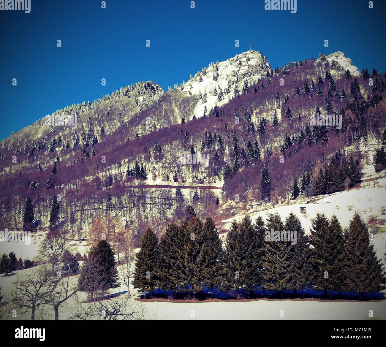 Spitz tonezza Banque de photographies et d’images à haute résolution ...