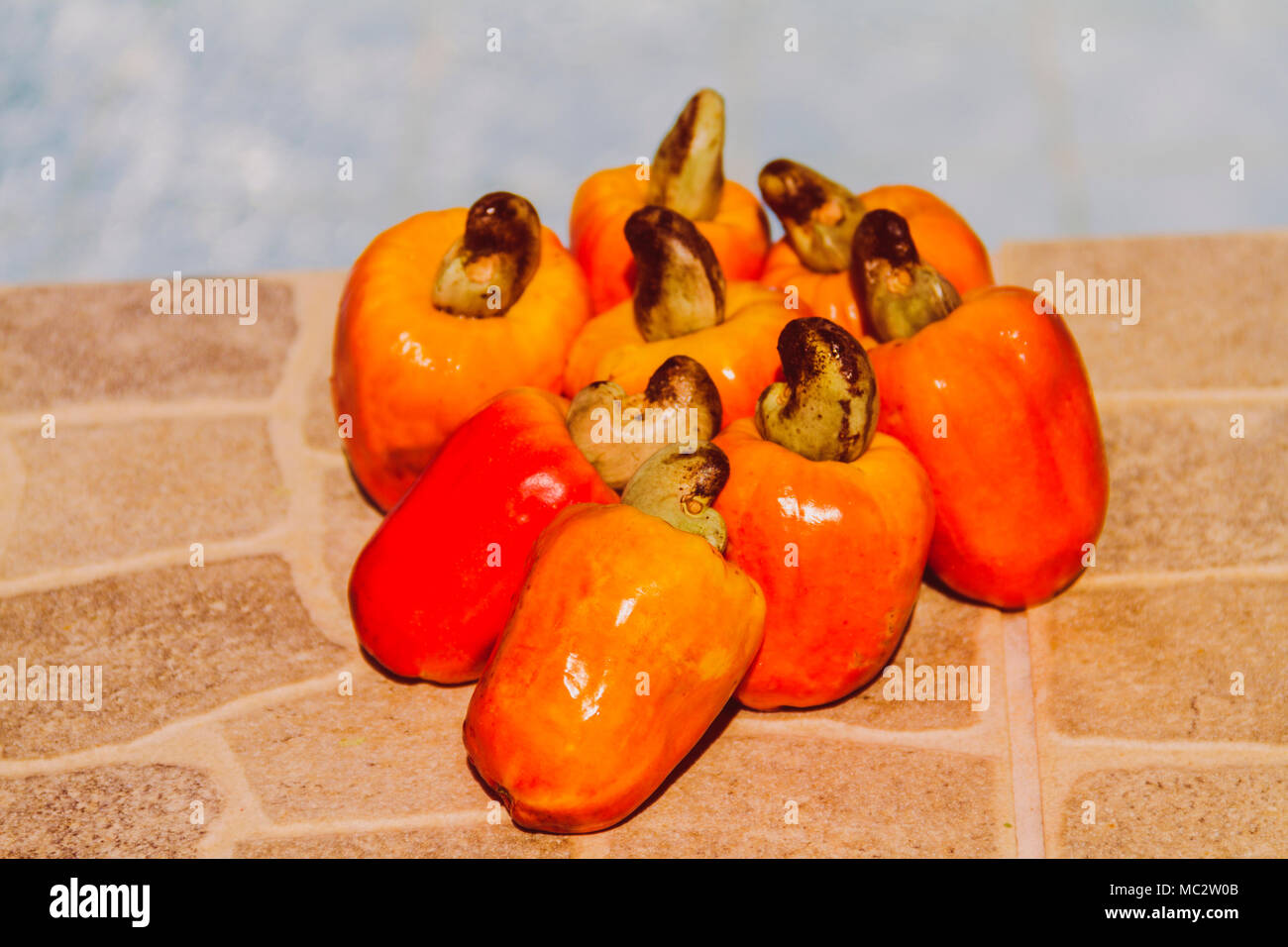 Fruits de noix de cajou Banque de photographies et d’images à haute ...