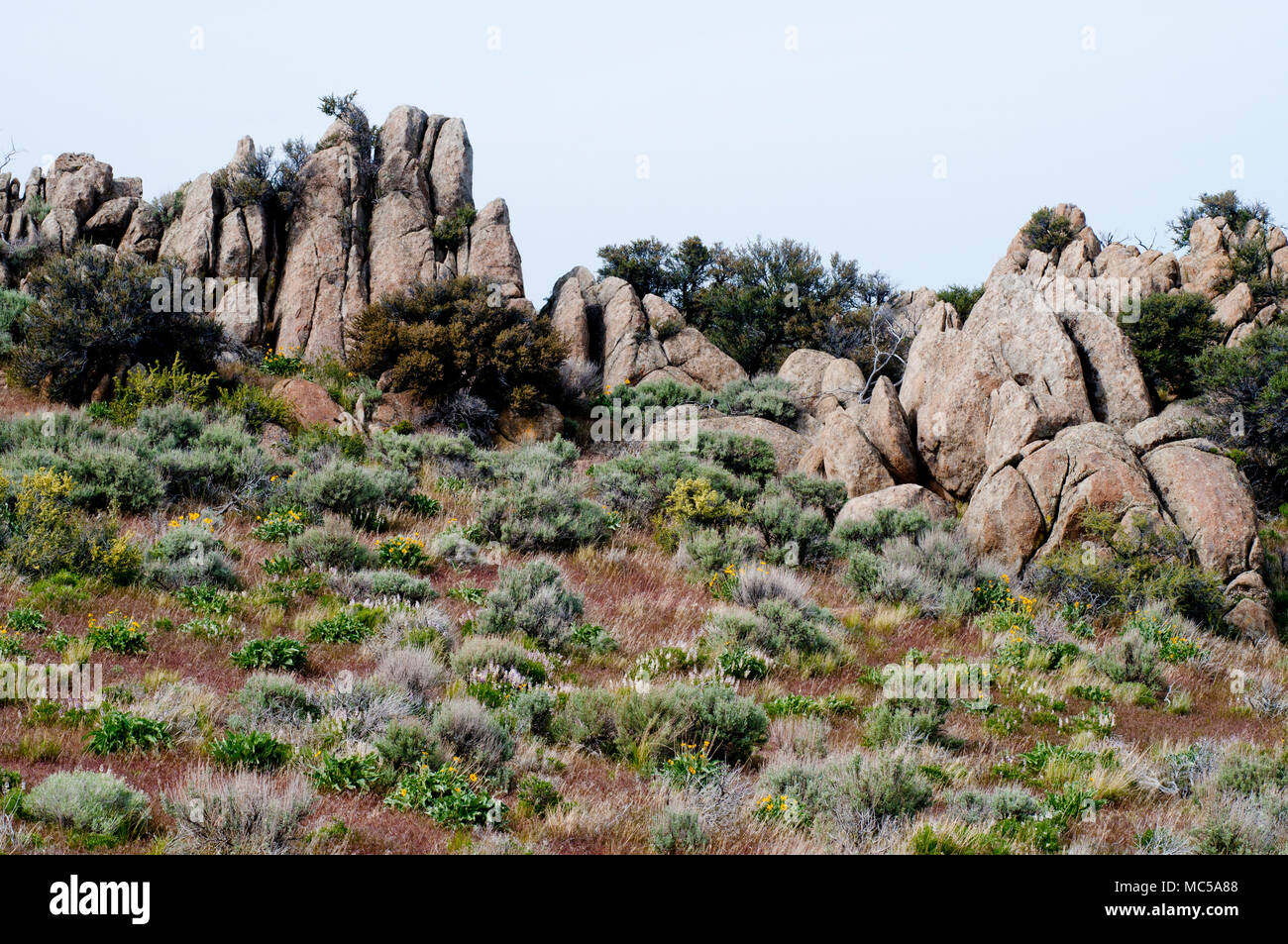 Holocrystalline rock Banque de photographies et d’images à haute ...