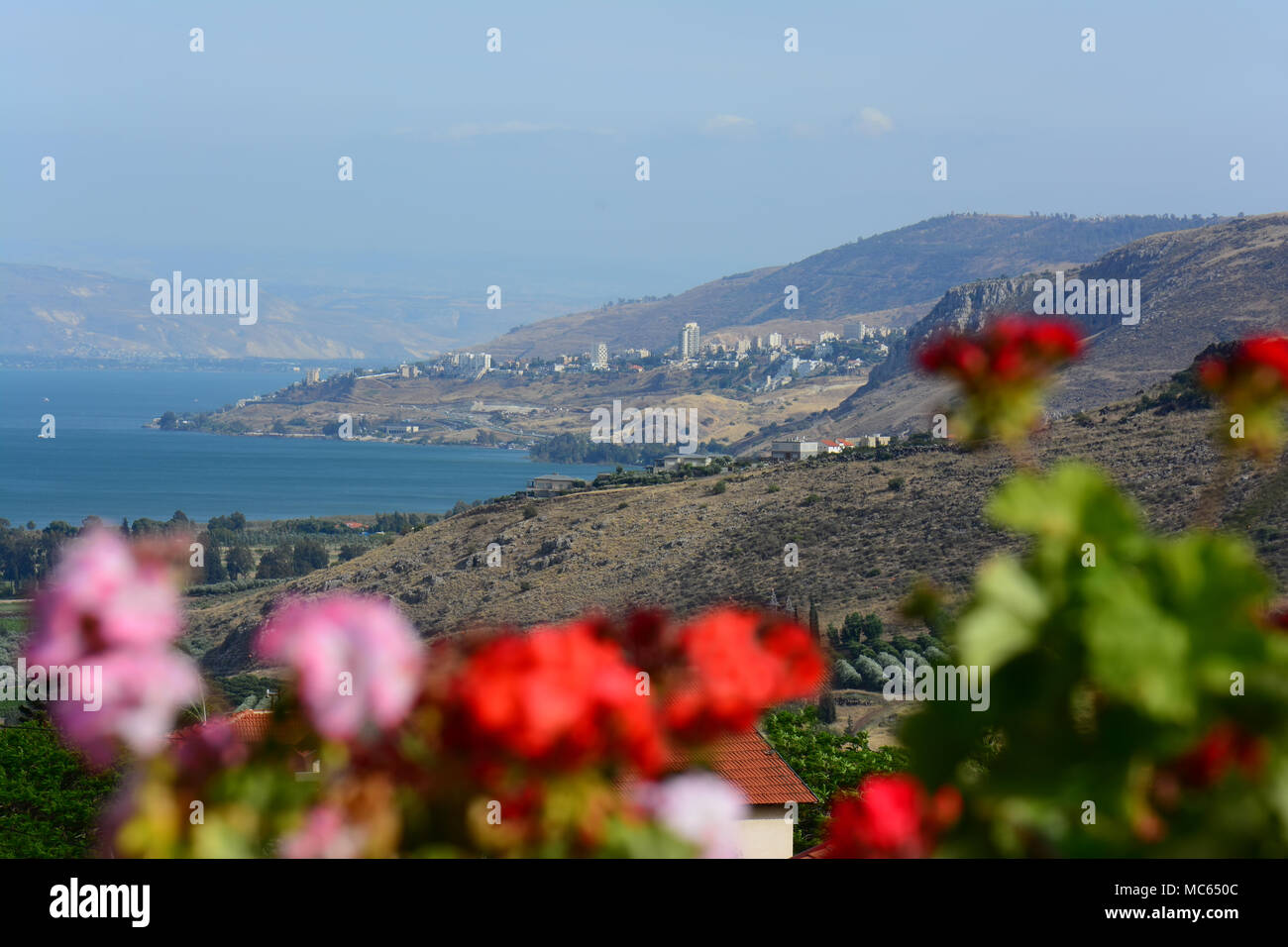 Tveria Banque de photographies et d’images à haute résolution - Alamy