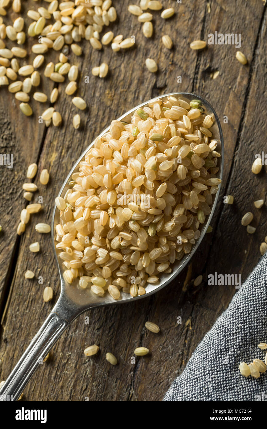 Riz à grain court Banque de photographies et d’images à haute ...