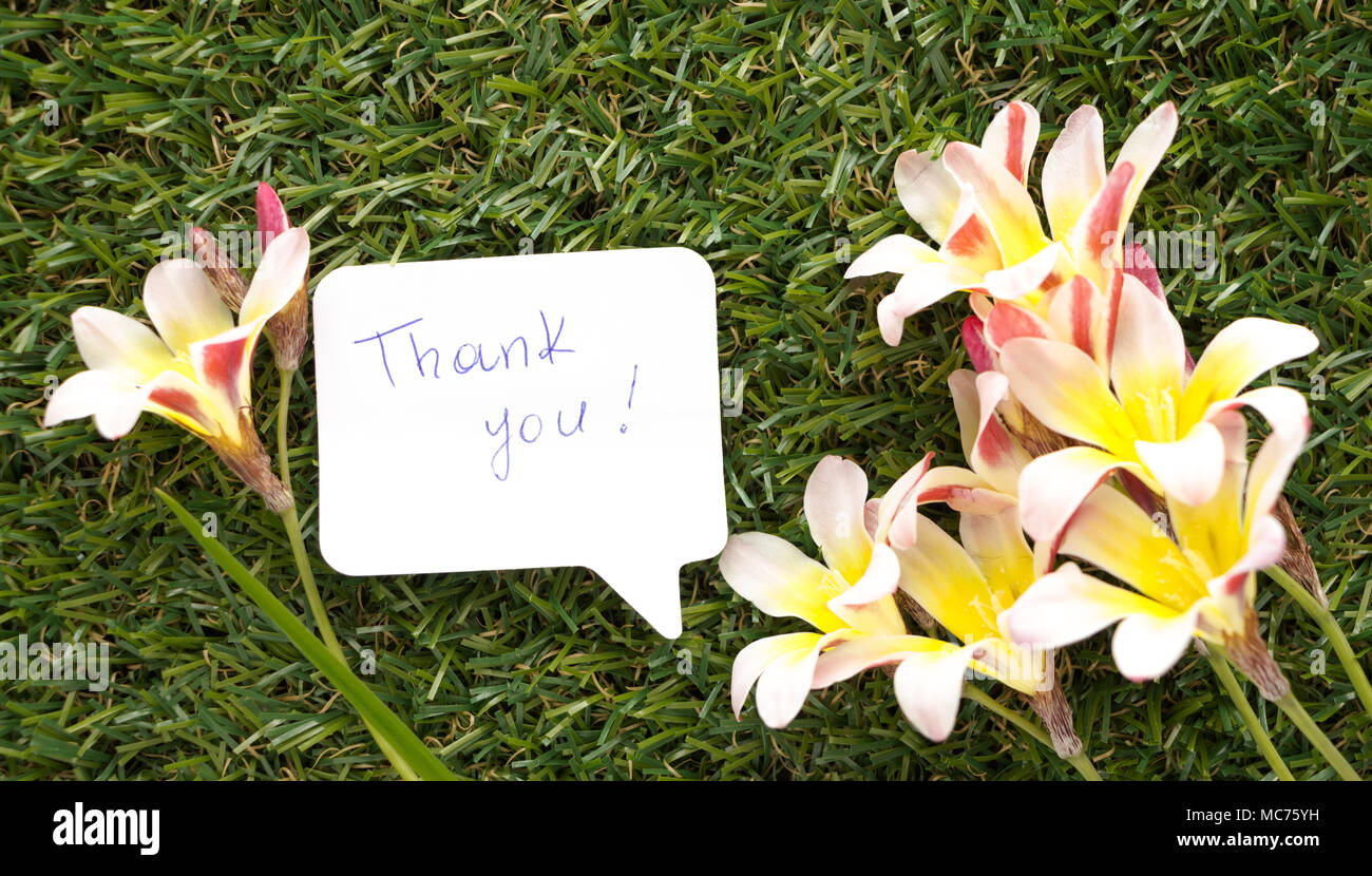 Merci avec des fleurs Banque de photographies et d’images à haute ...