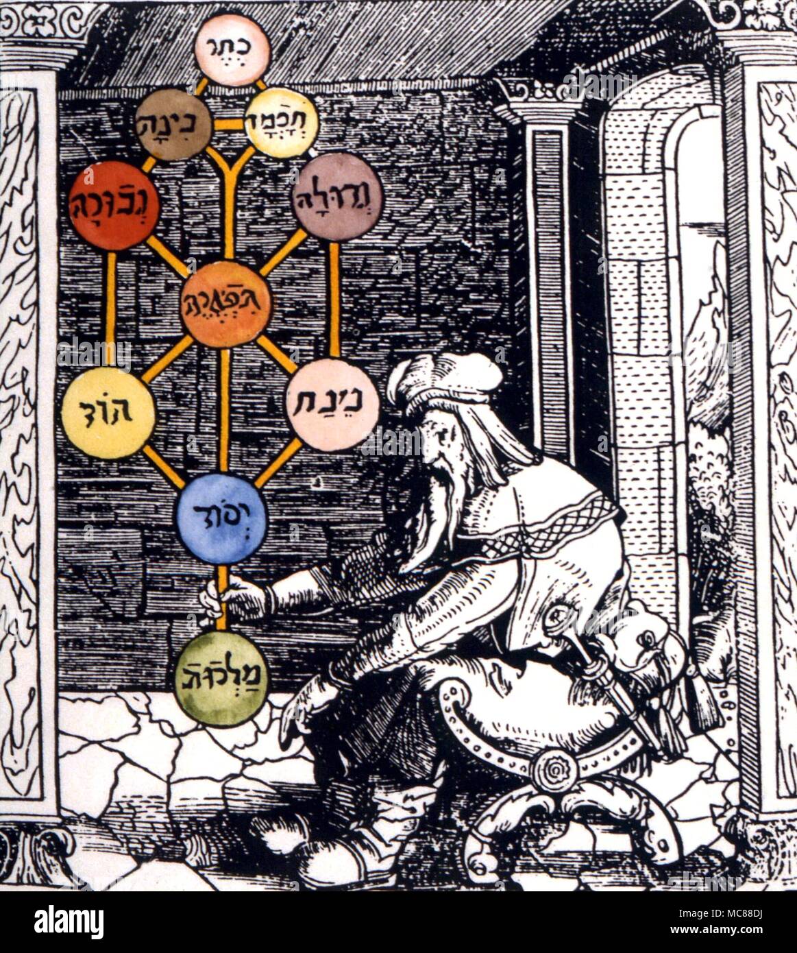 Diagrama de árbol Banque de photographies et d’images à haute ...