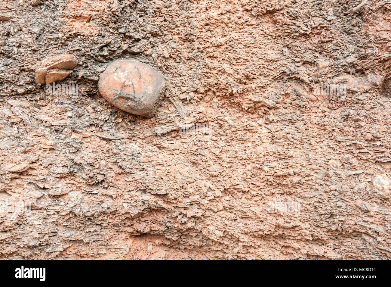 Sedimentary rock conglomerate Banque de photographies et d’images à ...