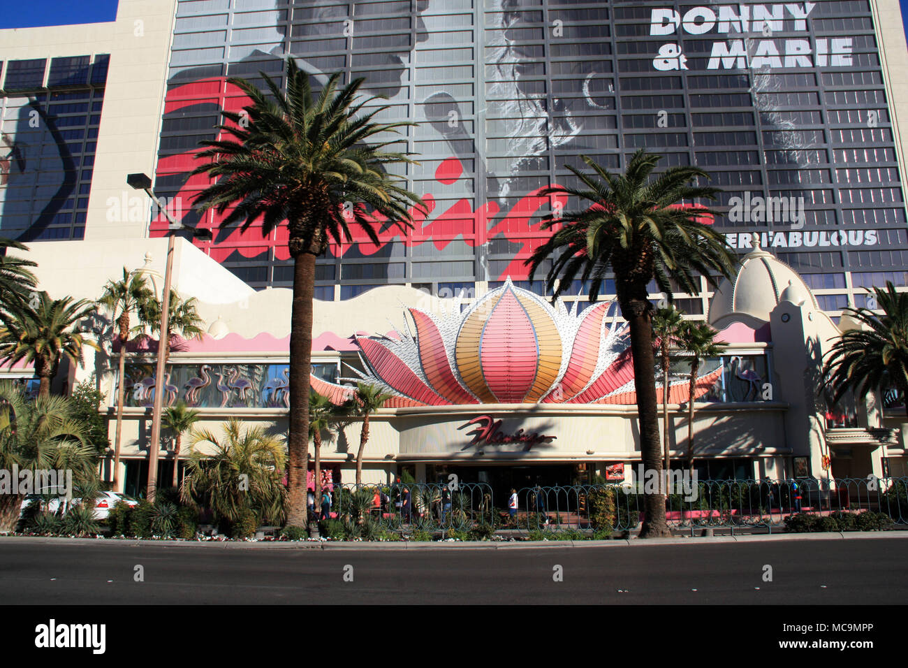 Flamant rose palmiers Banque de photographies et d’images à haute ...