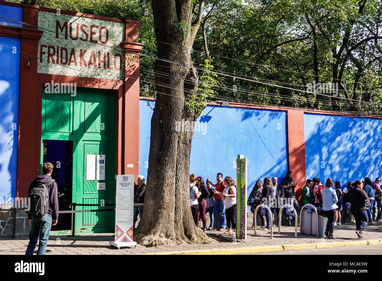 Caza azul frida Banque de photographies et d’images à haute résolution ...
