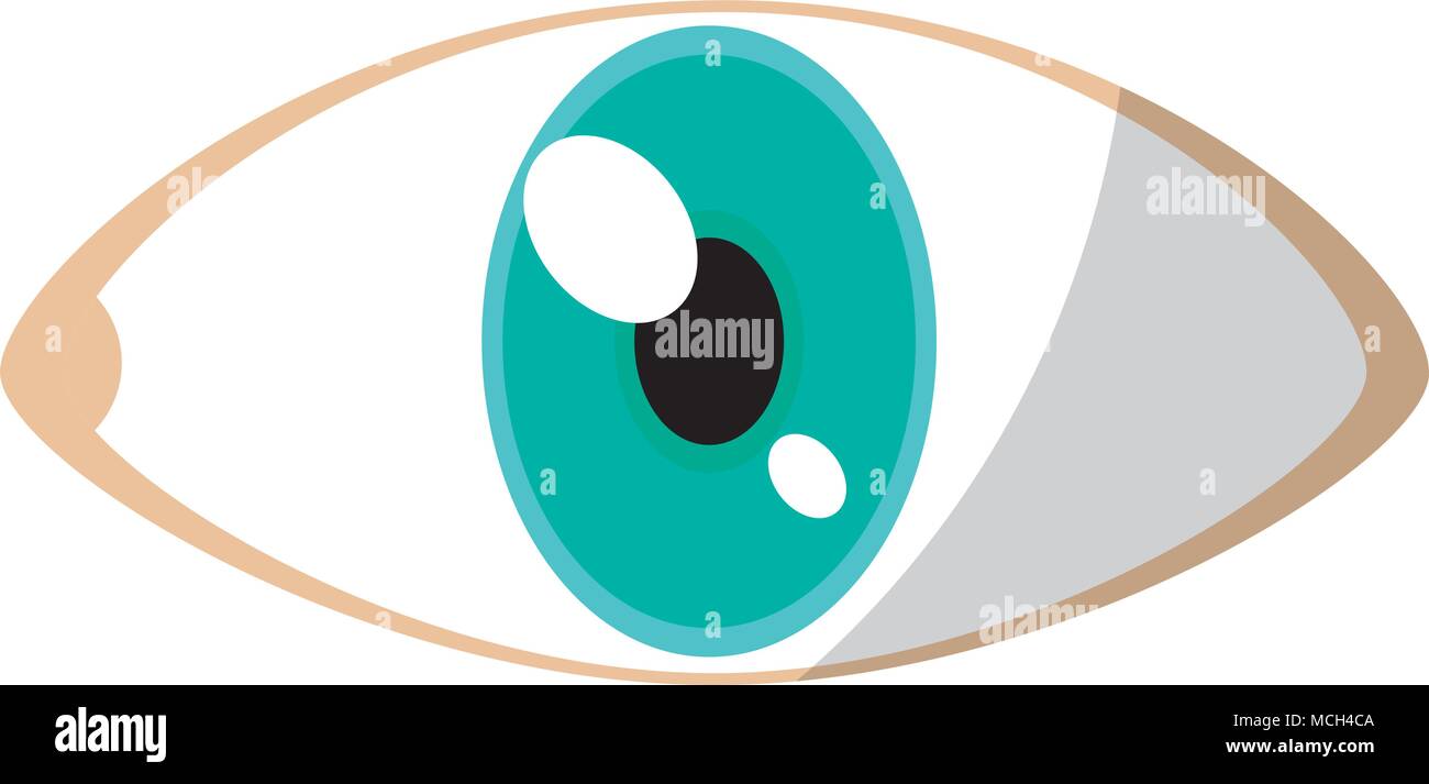 L'anatomie de l'œil vision design vector illustration Image Vectorielle ...