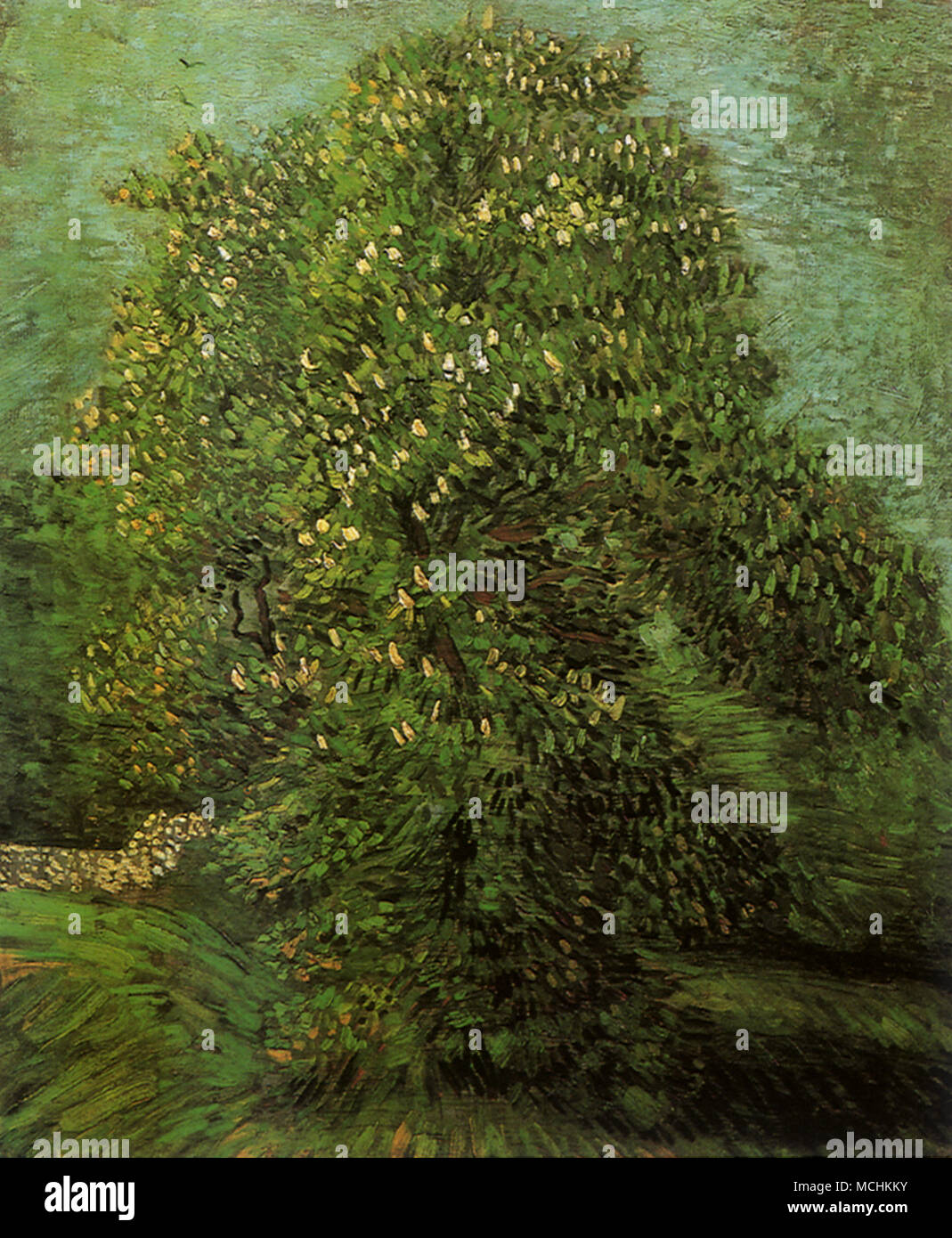 Marronnier en fleur 1890 Banque de photographies et d’images à haute ...