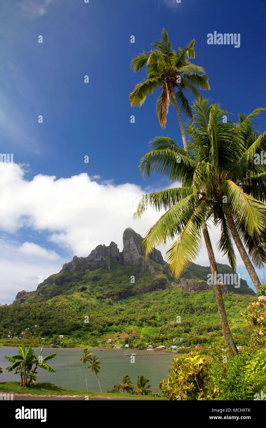 île de tahiti Banque de photographies et d’images à haute résolution ...