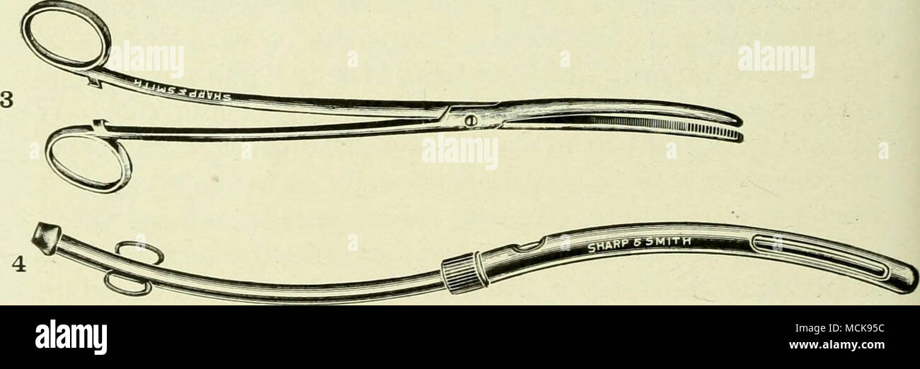 . Fig. 39-Instruments pour l'examen des organes génitaux des vaches ...