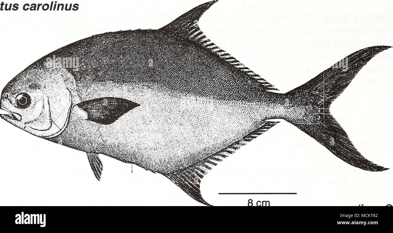 1884 1960 Banque de photographies et d’images à haute résolution - Alamy