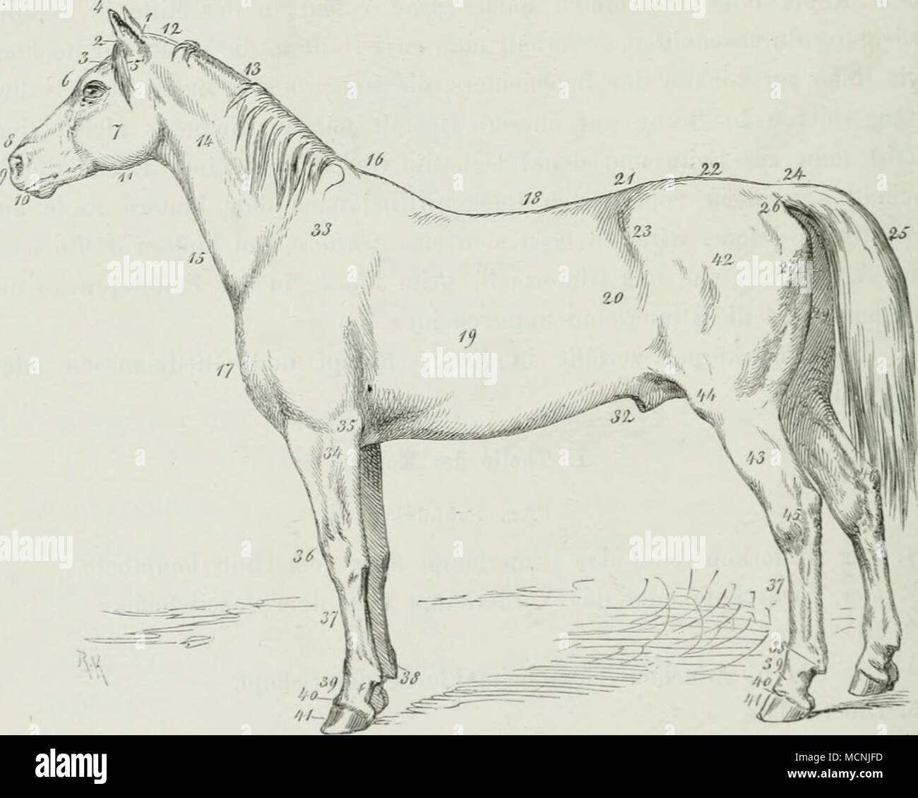 Bugspitze Banque de photographies et d’images à haute résolution - Alamy