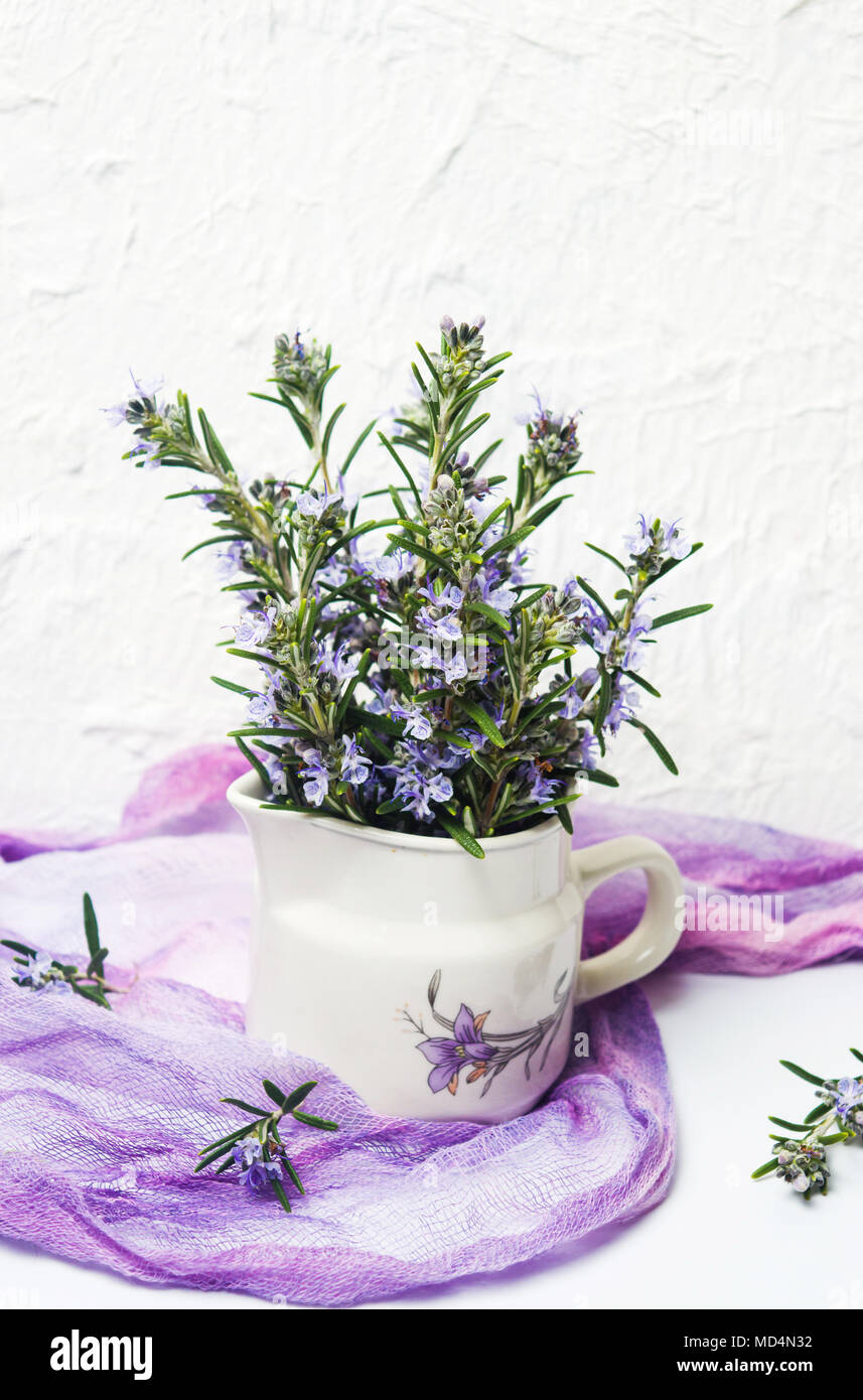 Pot de fleur de romarin Banque de photographies et d’images à haute ...