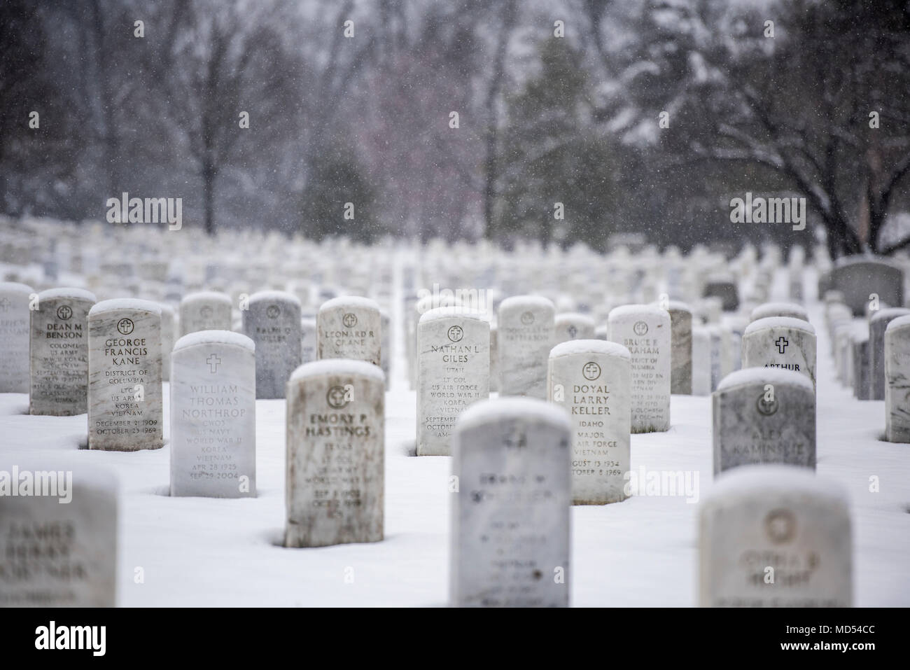 Chutes de neige dans l'article 46 du Cimetière National d'Arlington ...