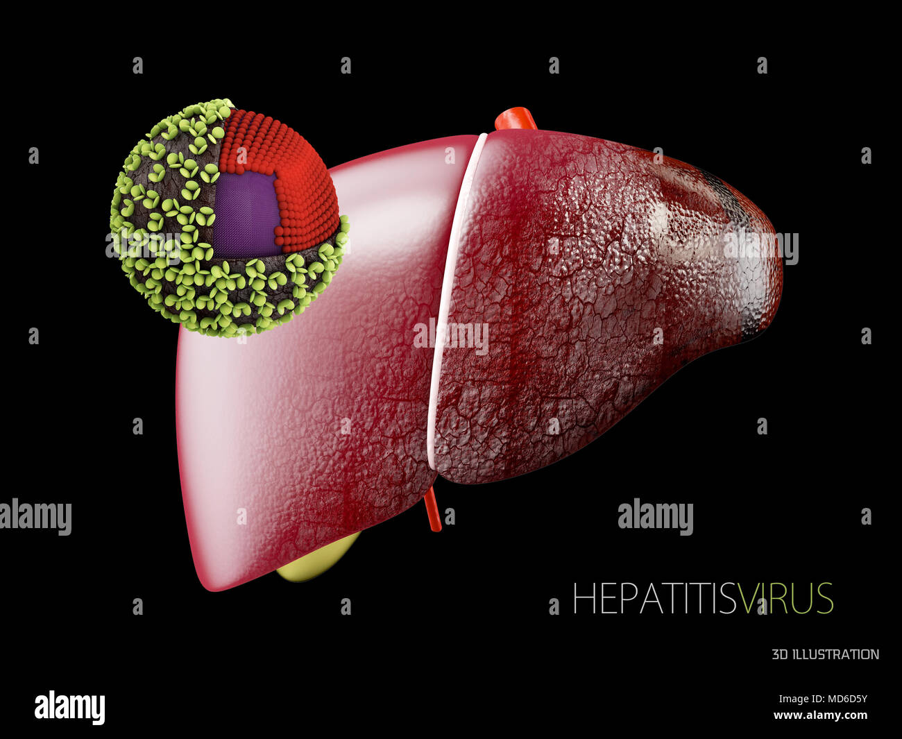 Avec du foie hépatite virale. Structure du virus de l'hépatite B. 3d ... Avec du foie hépatite virale. Structure du virus de l'hépatite B. 3d ...