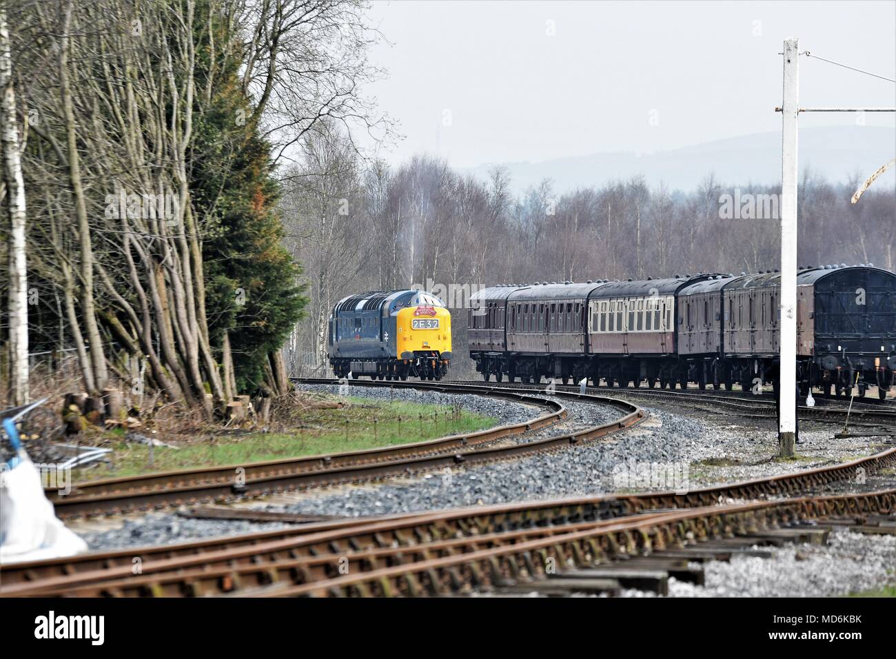 9009 alycidon Banque de photographies et d’images à haute résolution ...