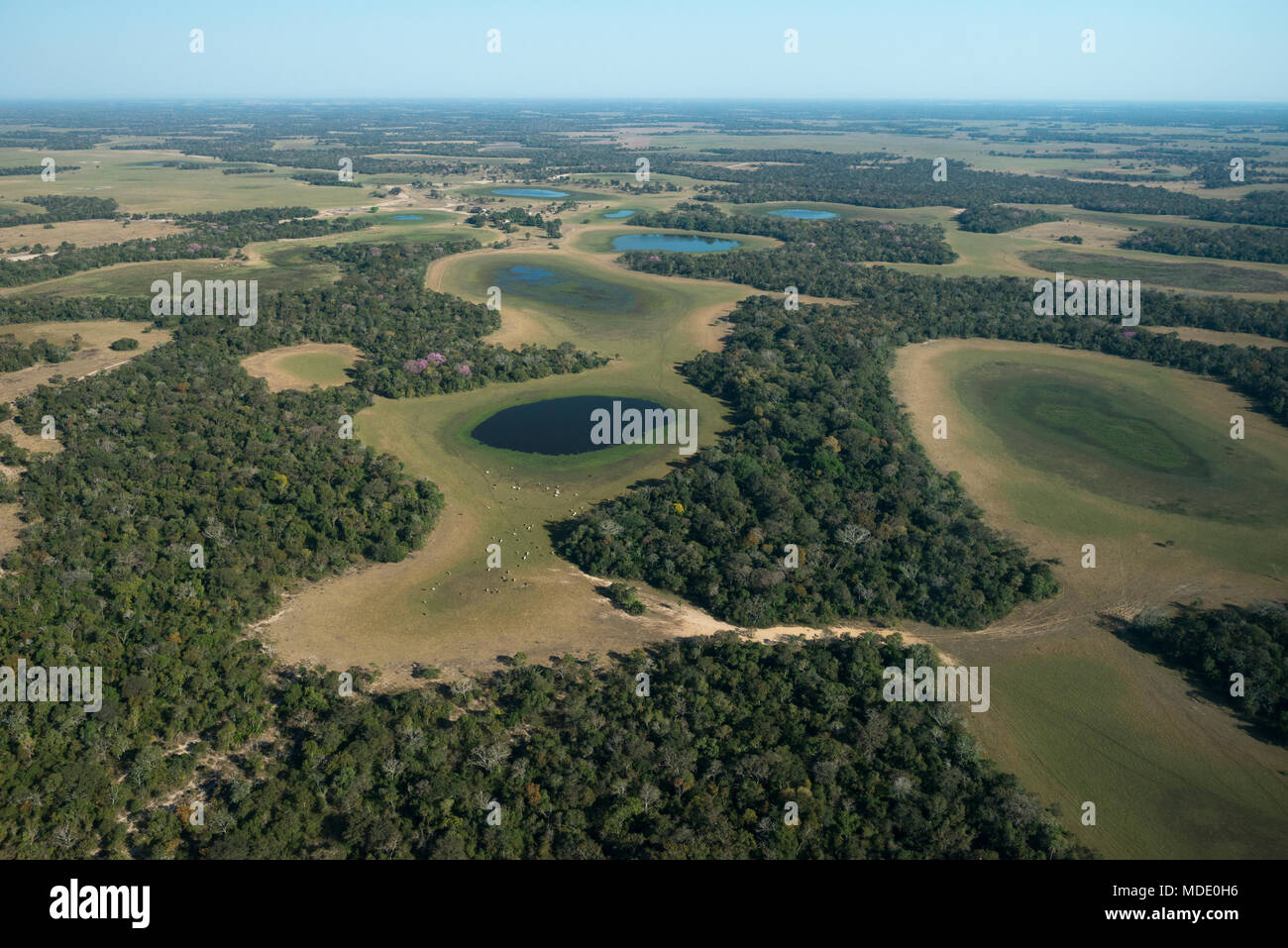 Plaine inondable Banque de photographies et d’images à haute résolution ...