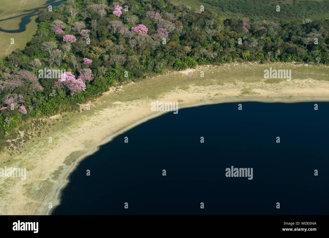 Paysage de la plaine inondable Banque de photographies et d’images à ...