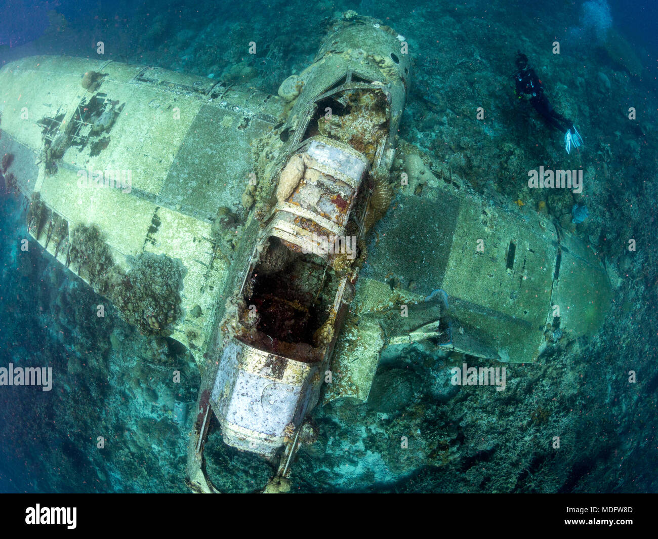 épave d'avion plongeur sous l'eau Banque de photographies et d’images à ...