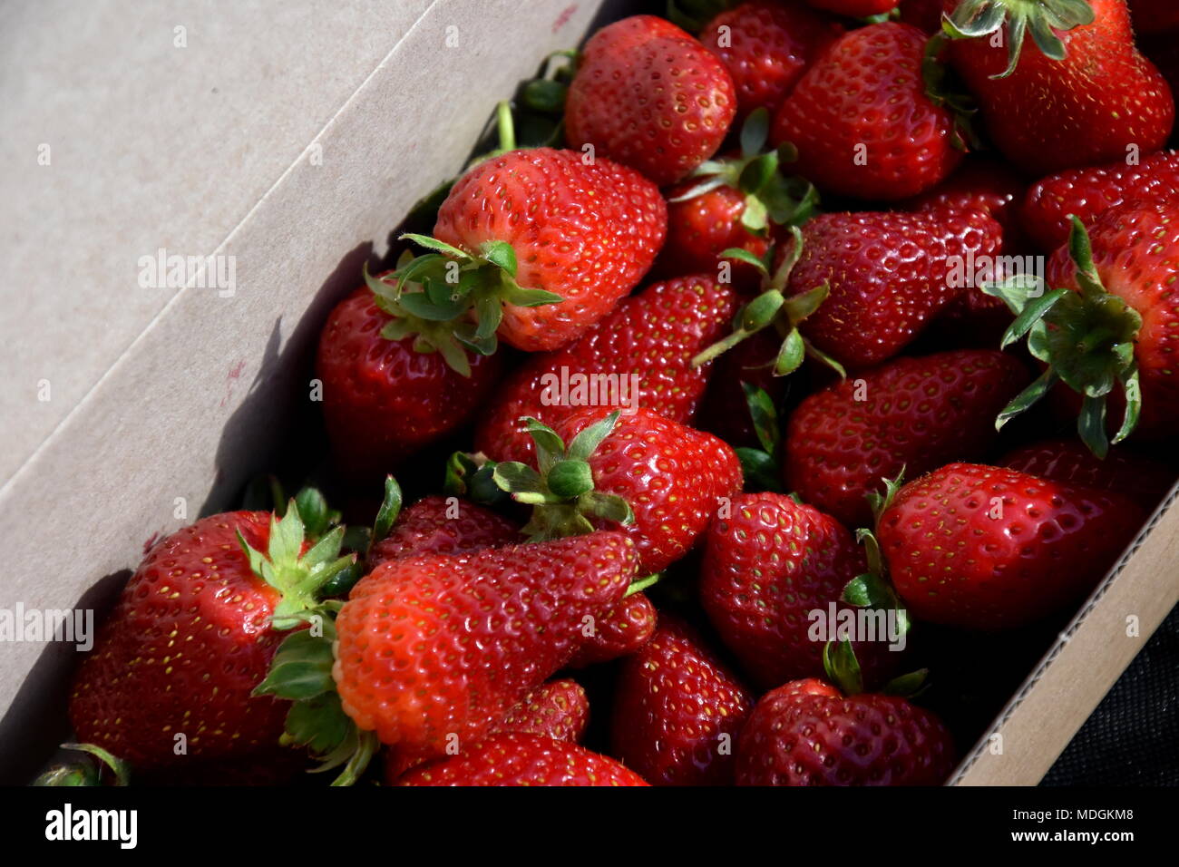 Fraises rouges fraîchement cueillis. Groupe de fraise ou de pile de ...