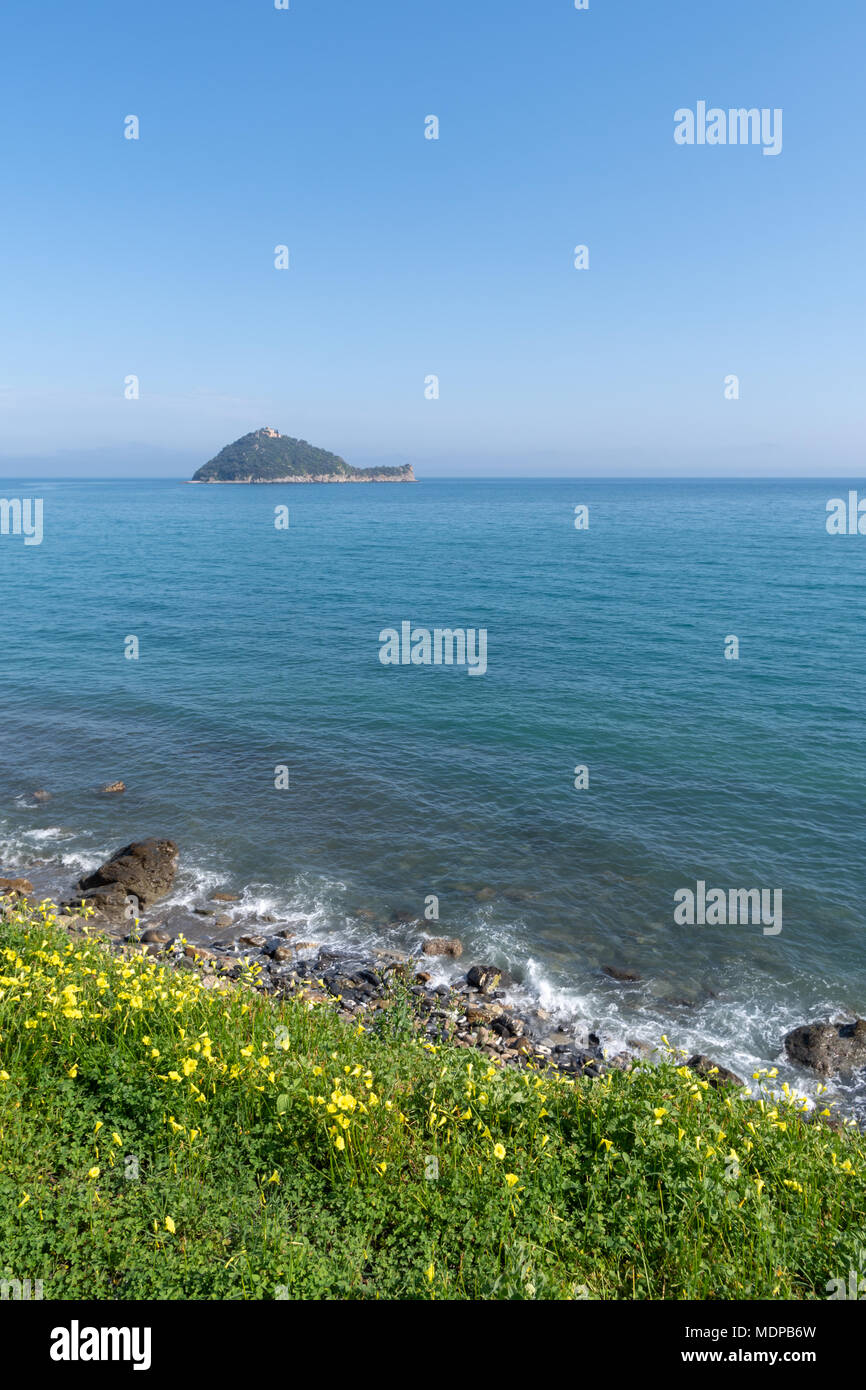L'Île Gallinara, Mer Ligurienne, Riviera Italienne, vue lointaine Photo ...