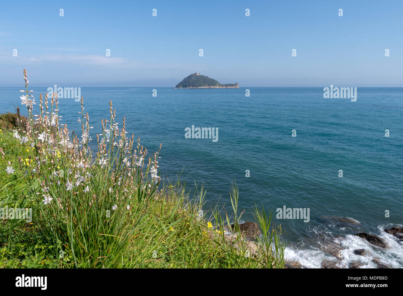 L'Île Gallinara, Mer Ligurienne, Riviera Italienne, vue lointaine Photo ...