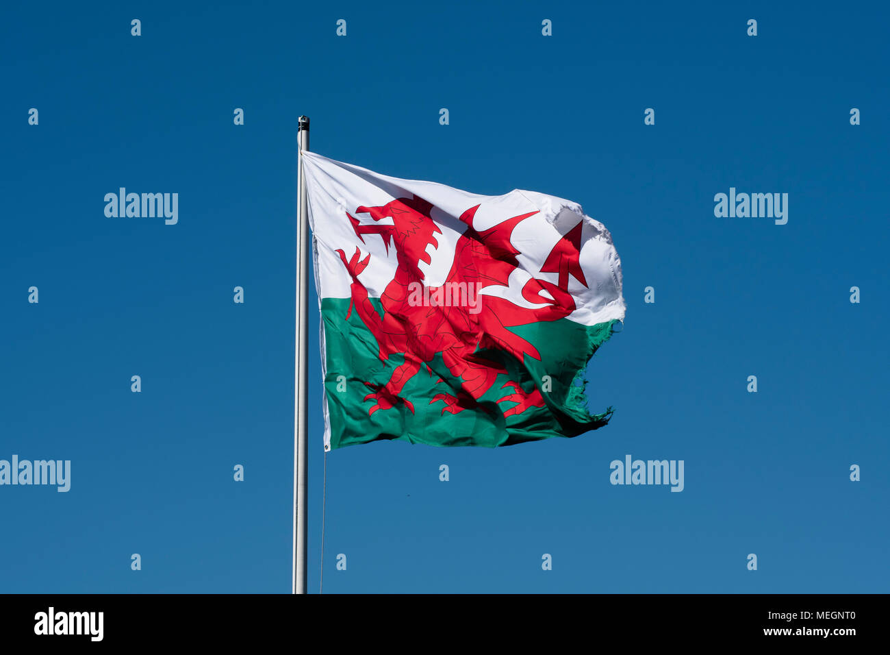 Dragon volant dans le ciel Banque de photographies et d’images à haute ...