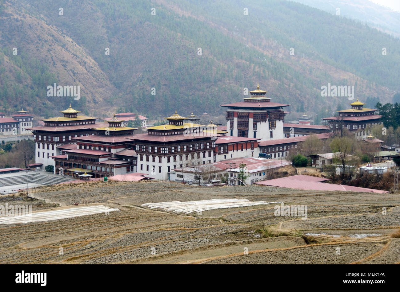 Tashichho dzong Banque de photographies et d’images à haute résolution ...