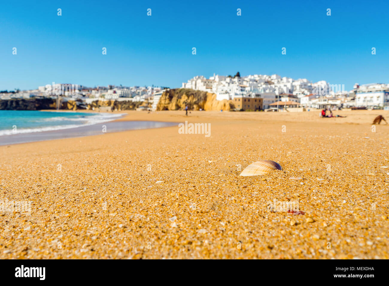 Sea shells in portugal Banque de photographies et d’images à haute ...