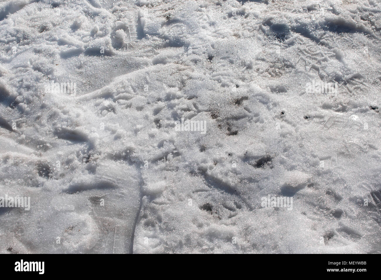 Surface couverte de neige avec différentes étapes humaine et de la ...