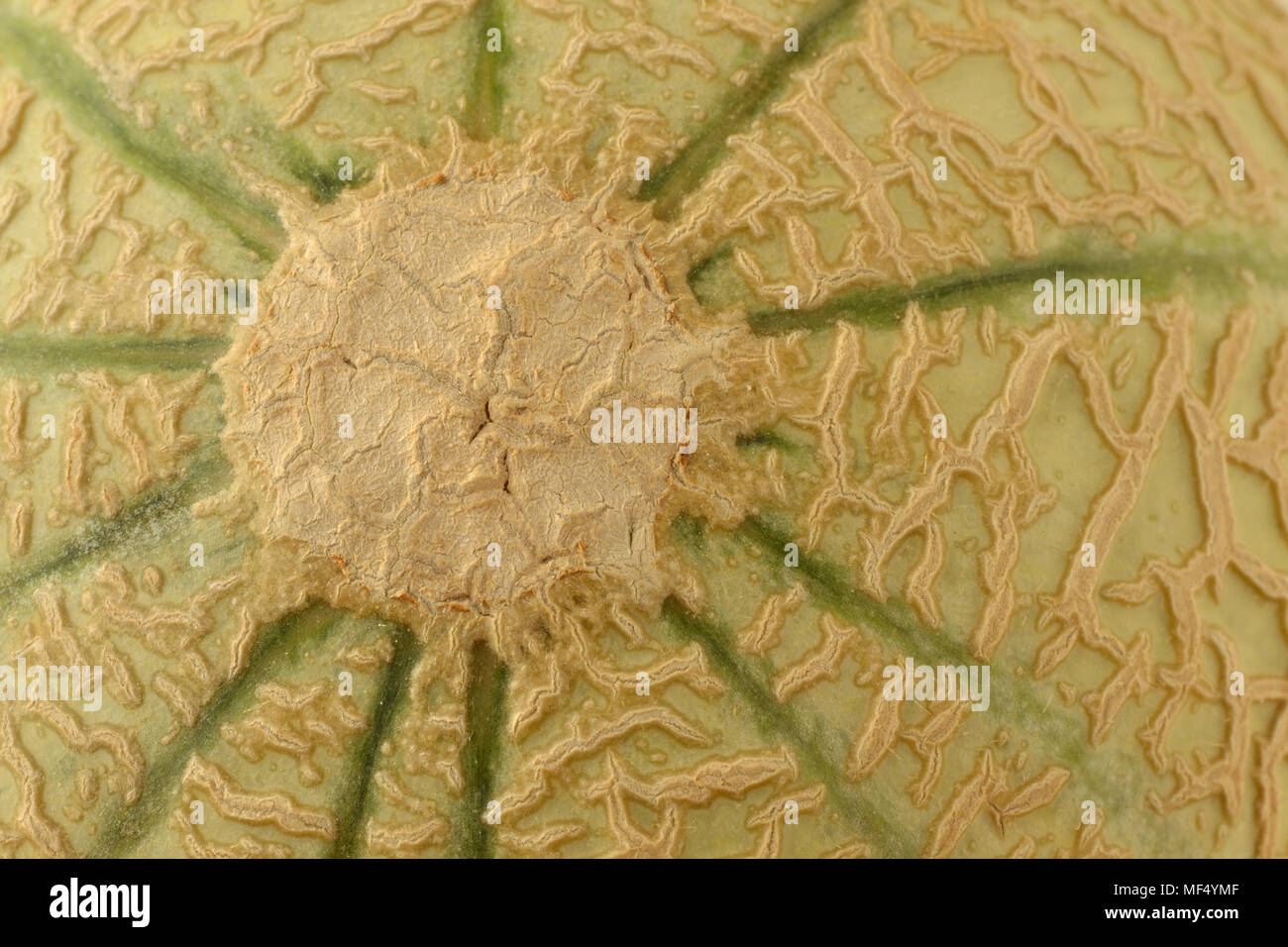 Melon texture Banque de photographies et d’images à haute résolution ...