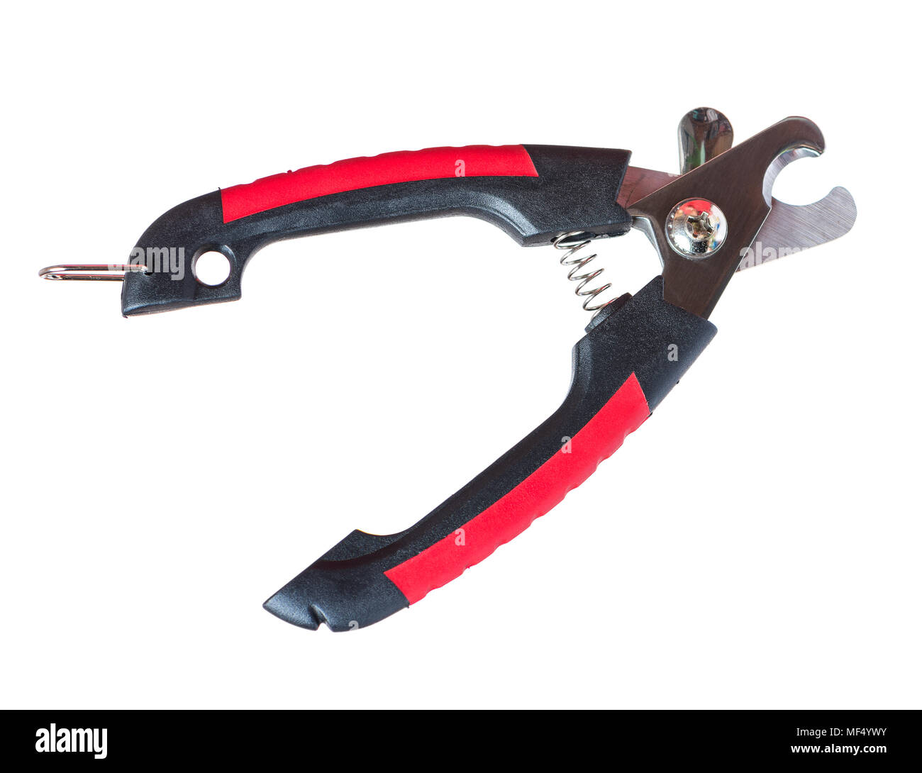 Griffe de chien Banque d'images détourées - Alamy